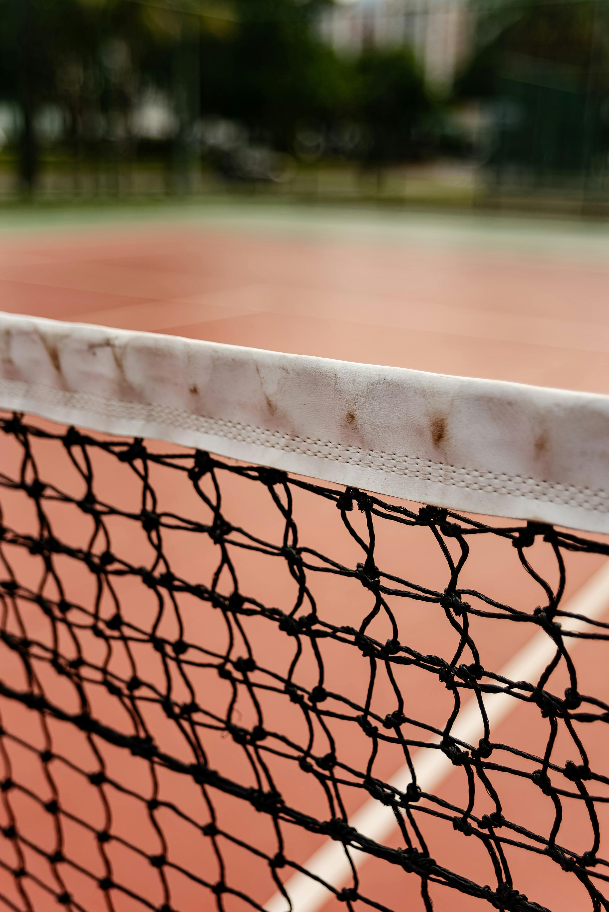 Splinter Netting Photos, Download The BEST Free Splinter Netting Stock ...