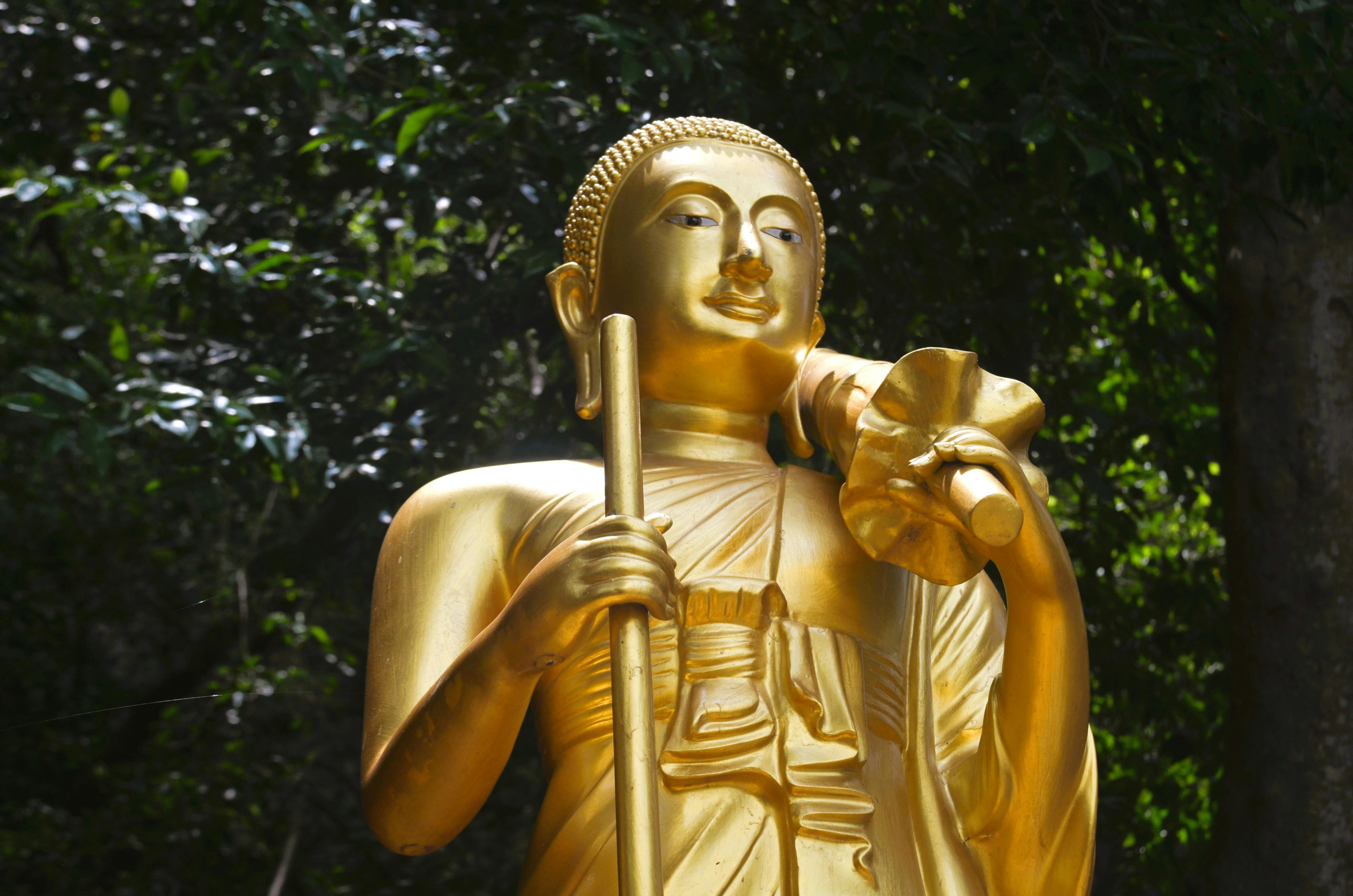 Sri+Lankan+Dansal Photos, Download The BEST Free Sri+Lankan+Dansal ...