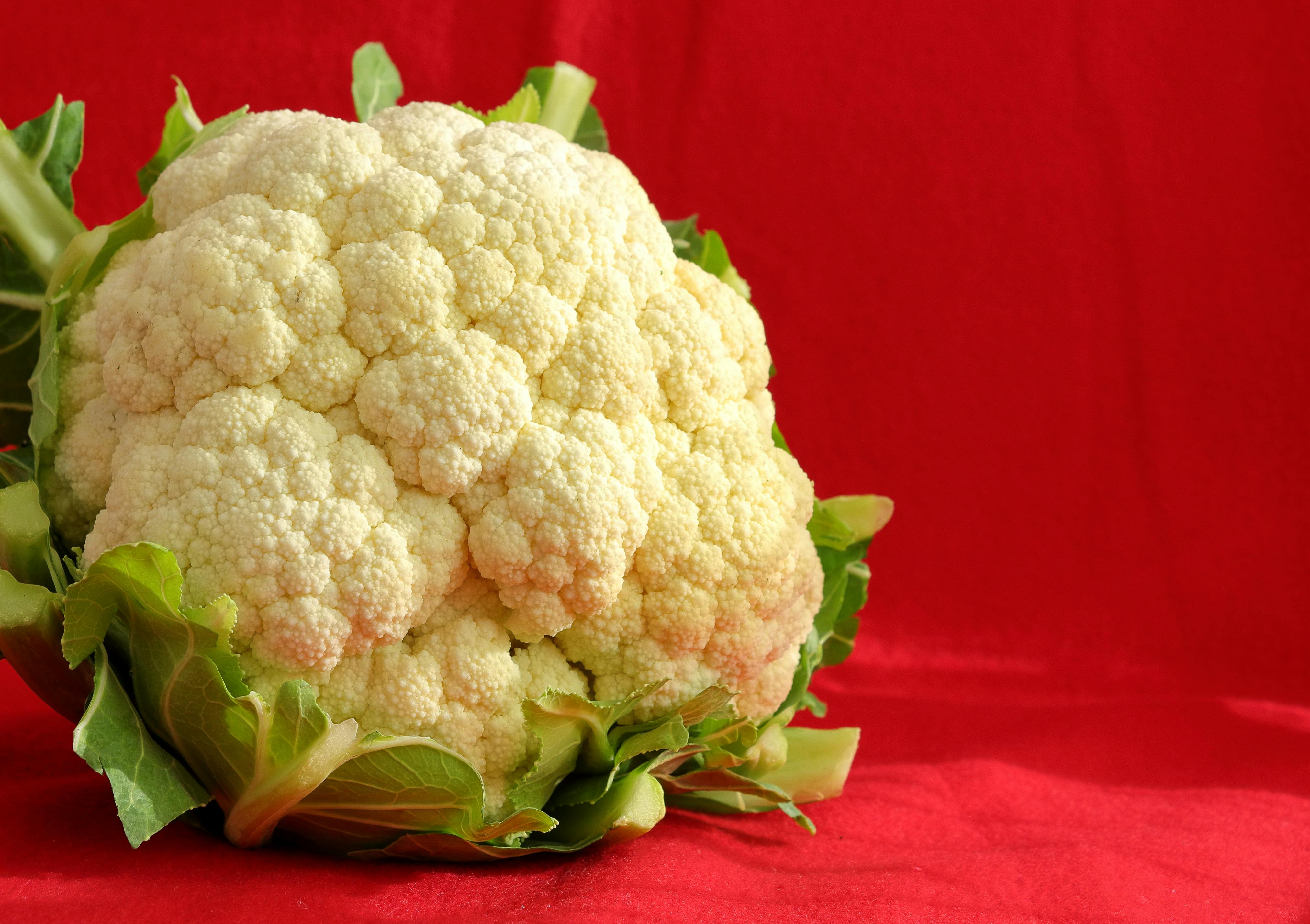 Cauliflower Photos, Download The BEST Free Cauliflower Stock Photos ...