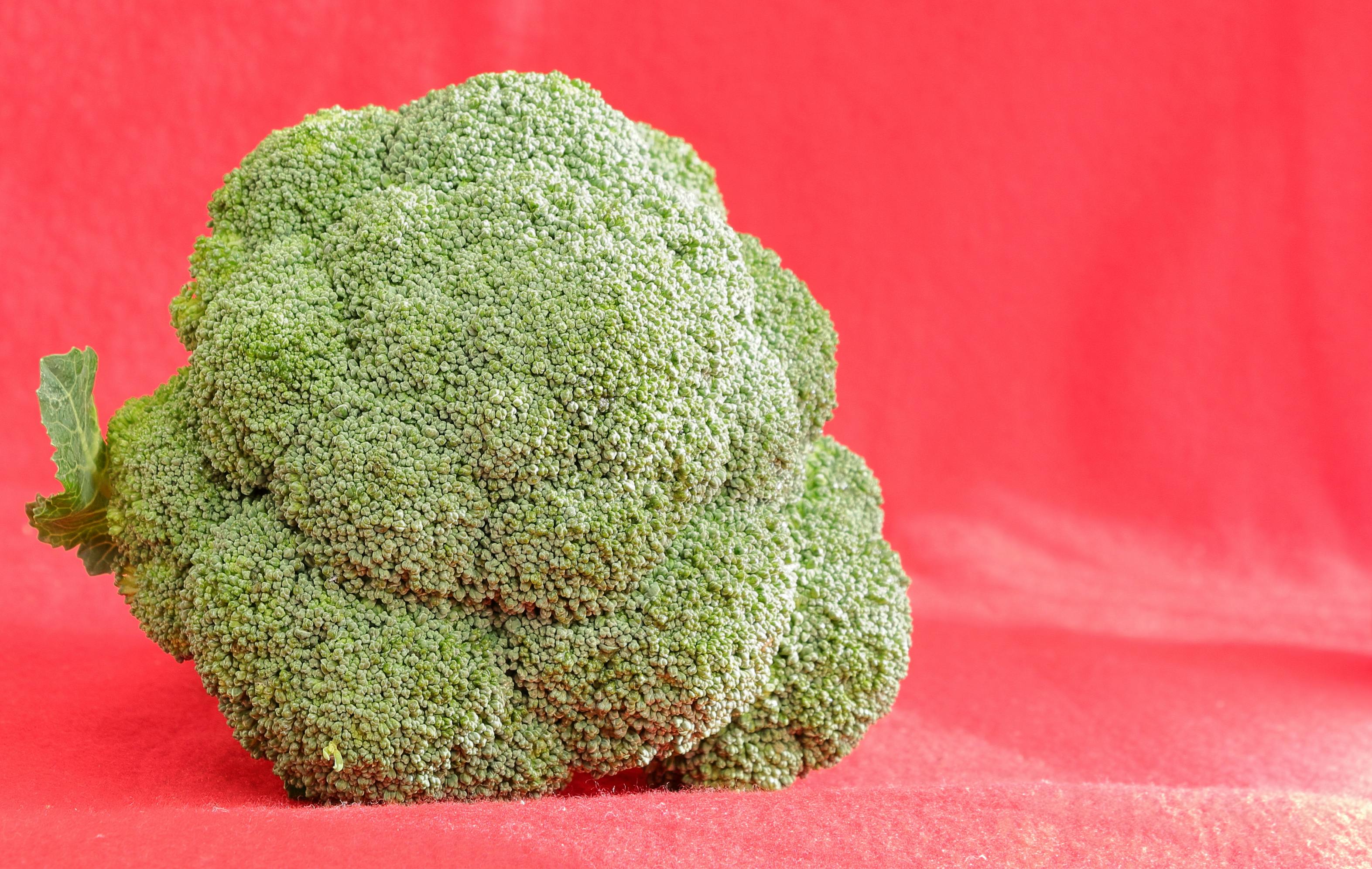 Broccoli Bits Photos, Download The BEST Free Broccoli Bits Stock Photos ...