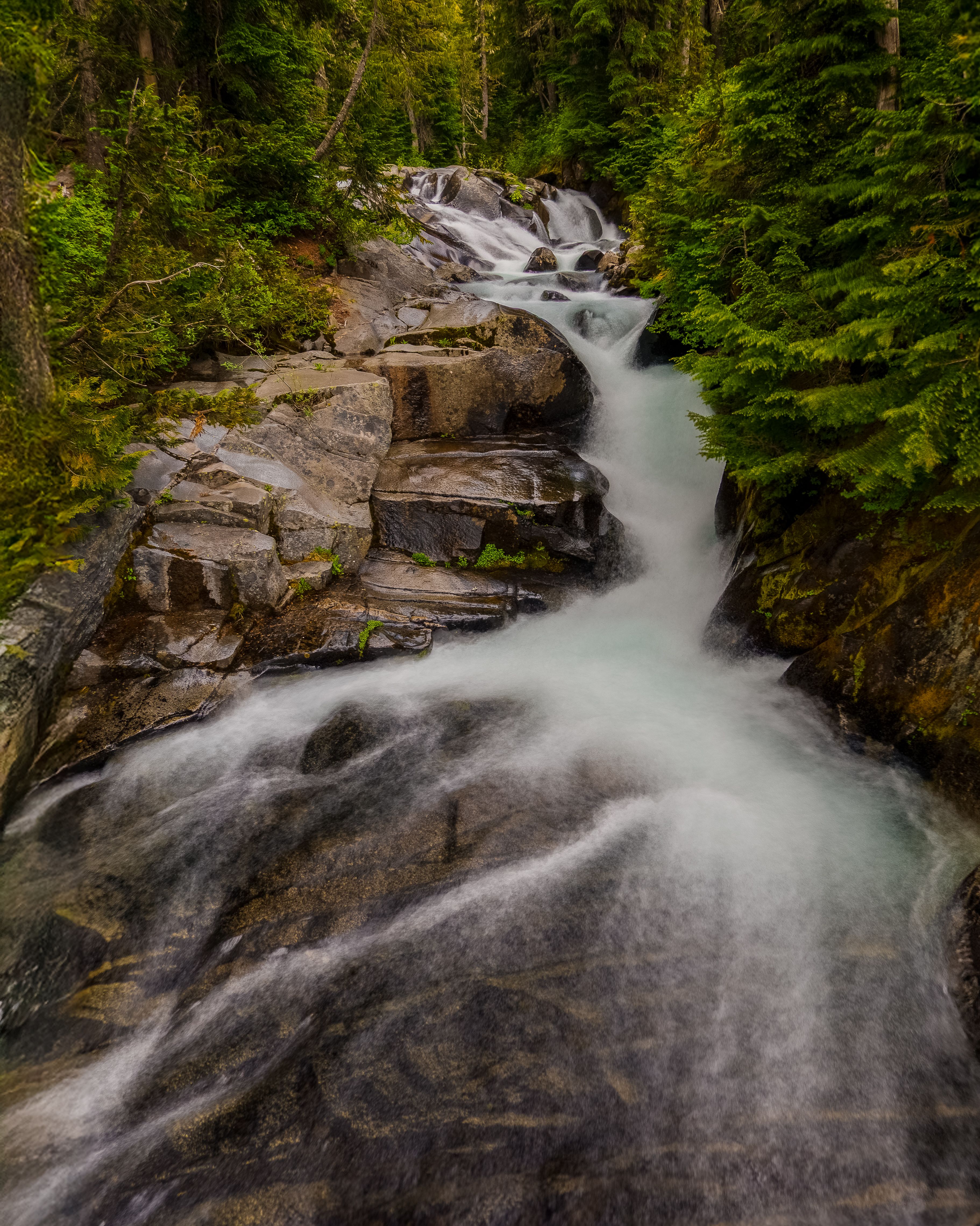 Majestic Forest Waterfall in Washington State · Free Stock Photo
