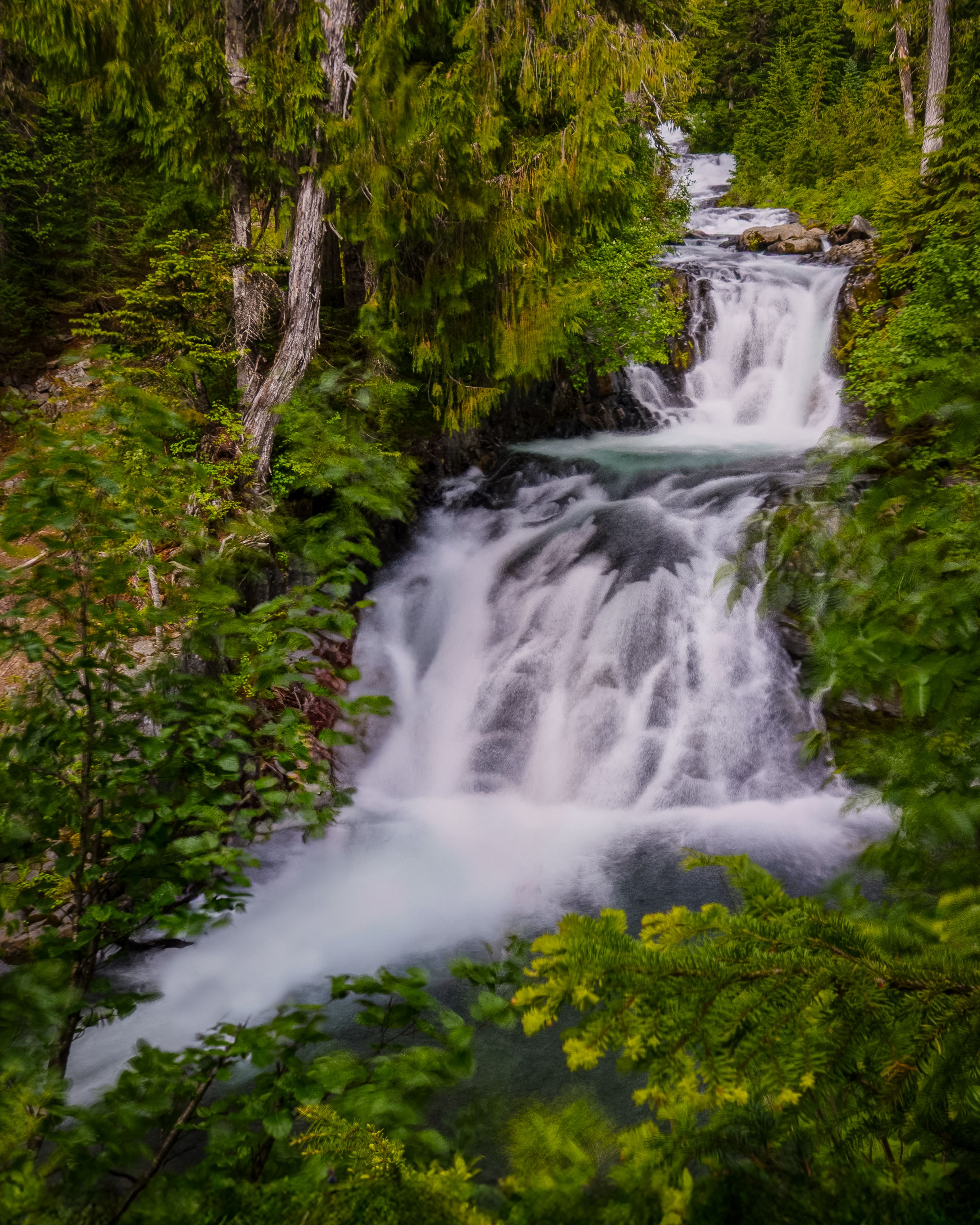 Serene Cascade Waterfall in Washington Forest · Free Stock Photo