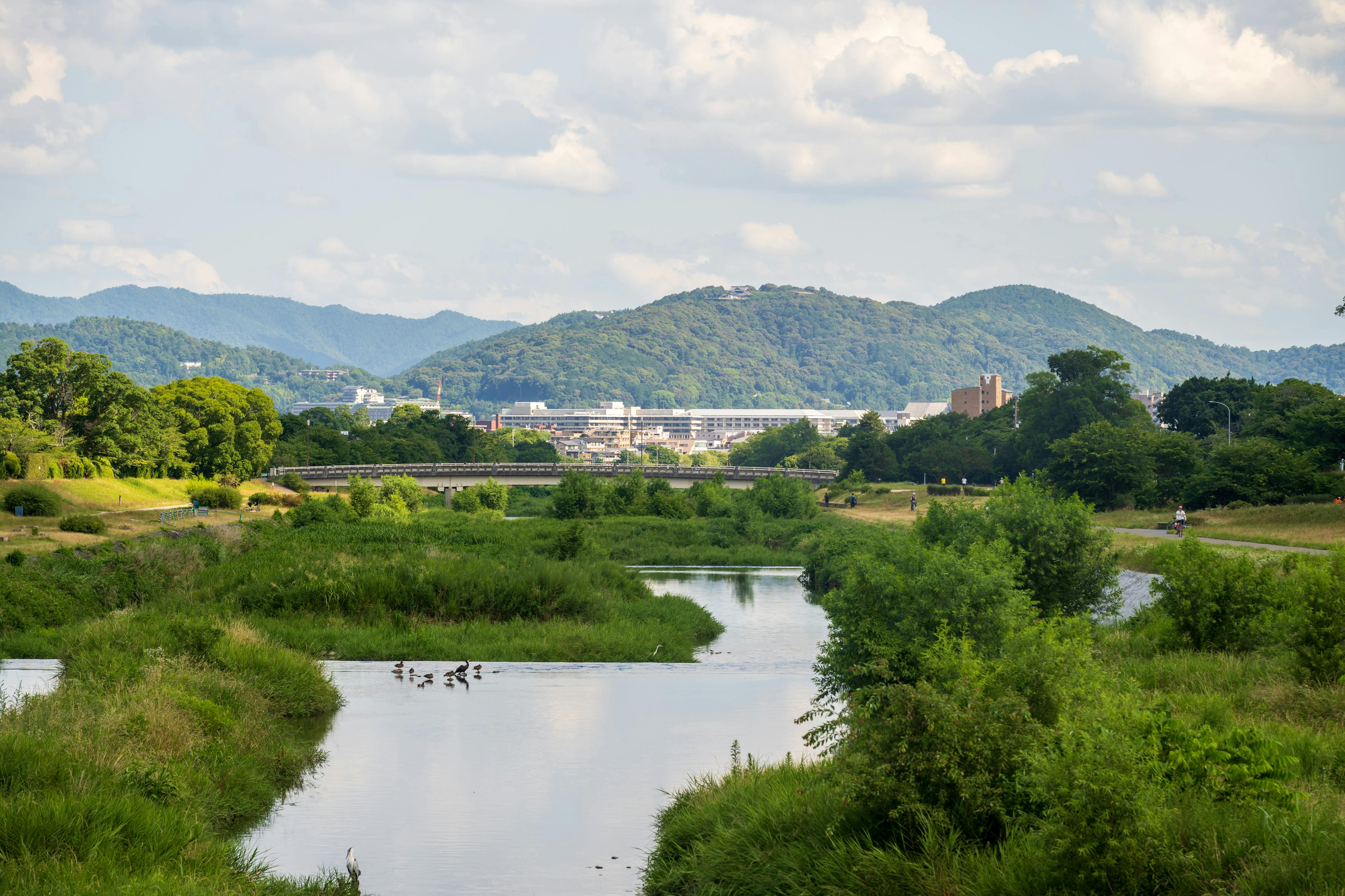 Idyllic River Scene with Lush Greenery · Free Stock Photo