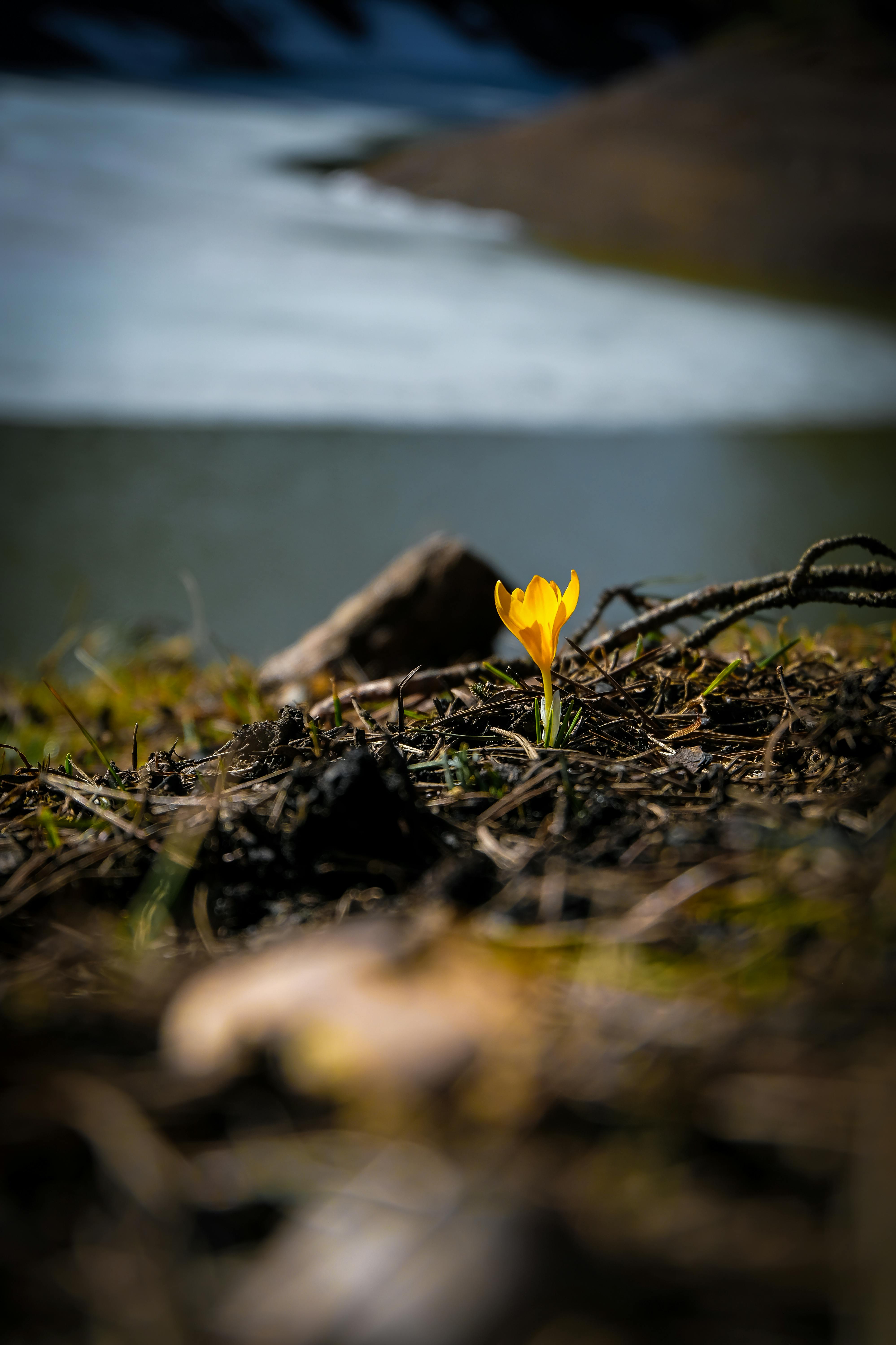 Vibrant Color Photos, Download The BEST Free Vibrant Color Stock Photos ...