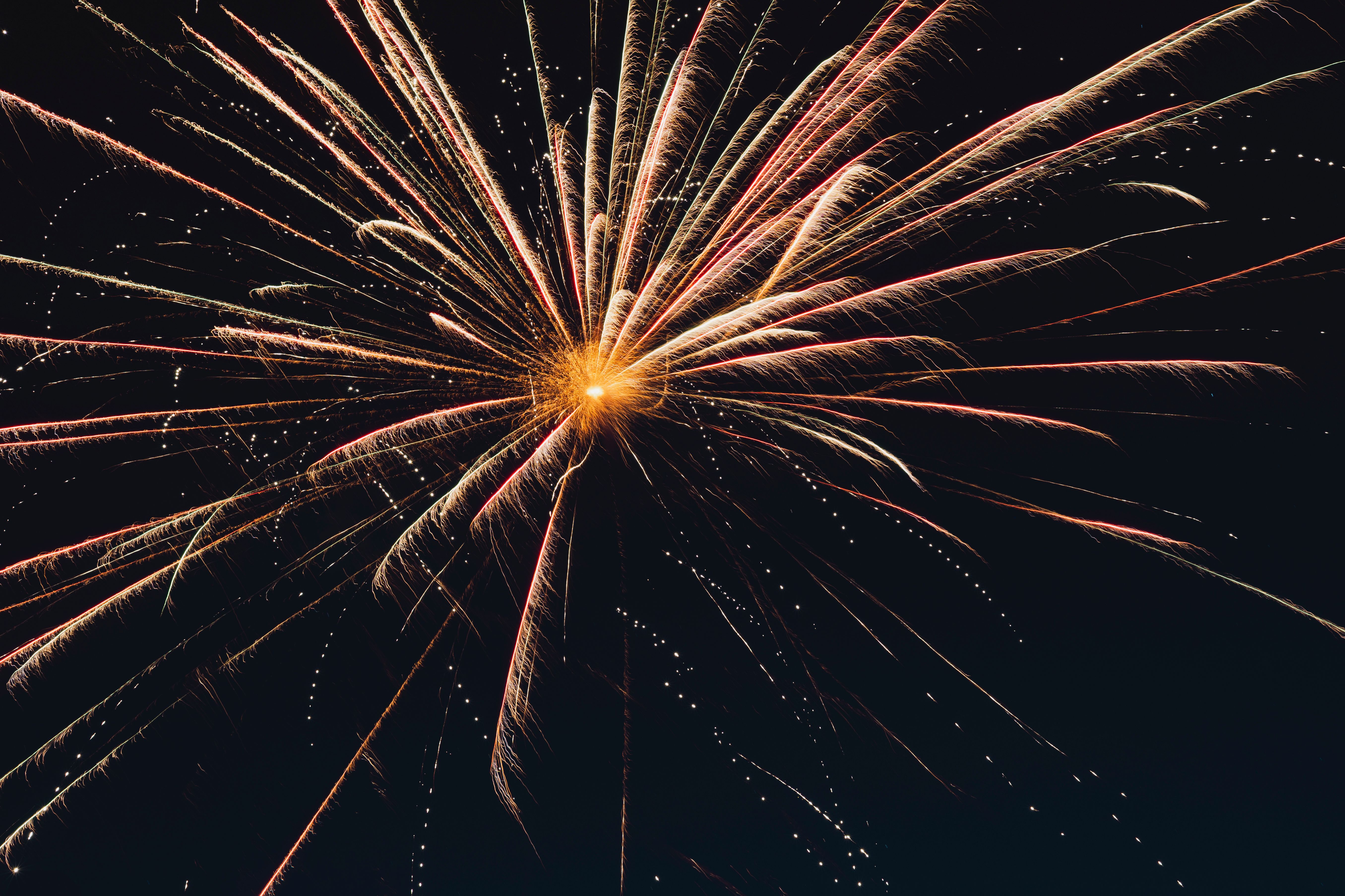 Vibrant Fireworks Burst Against Night Sky · Free Stock Photo
