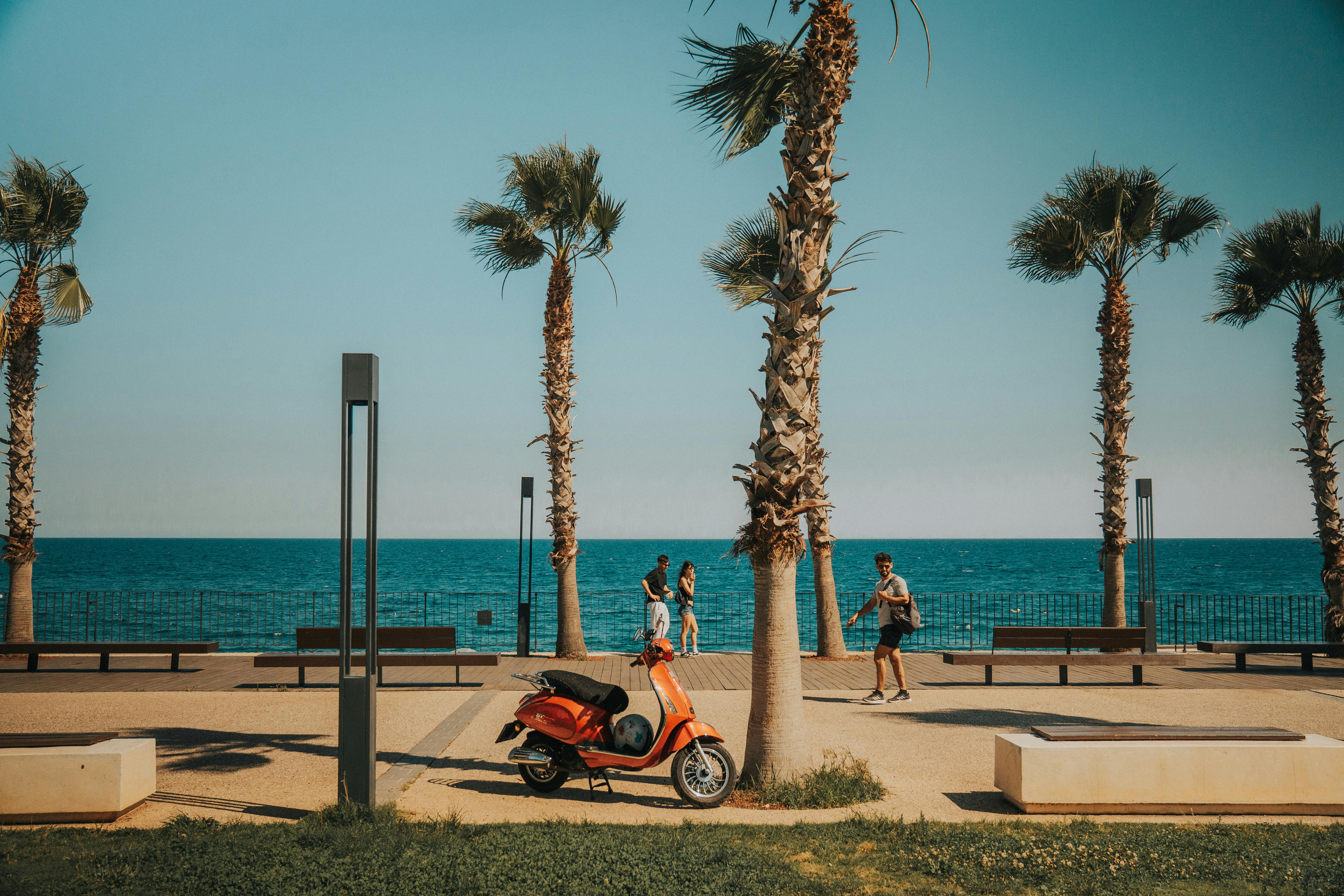 Beachfront Promenade with Palm Trees and Scooter · Free Stock Photo