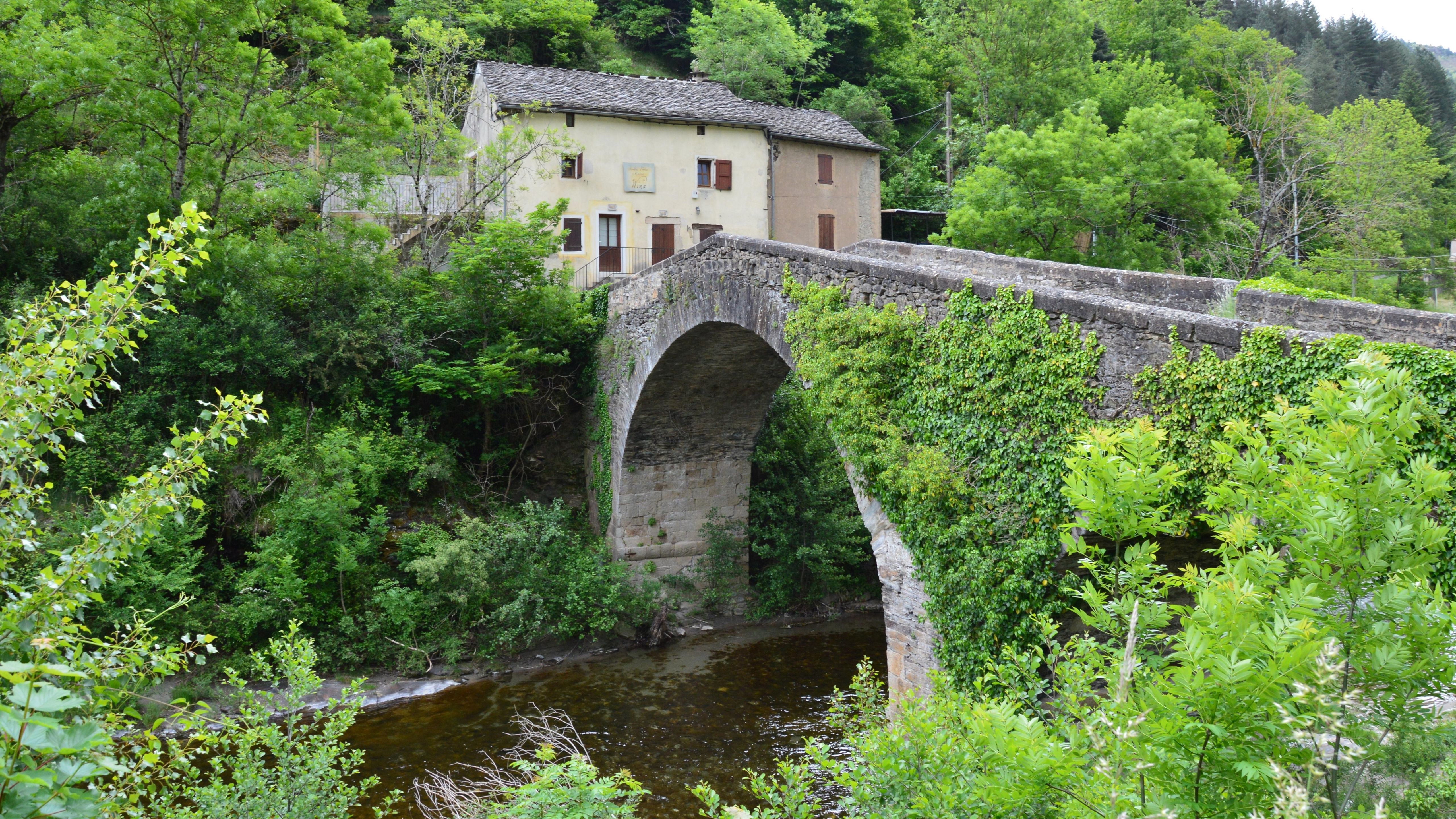 Historic Stone Bridge in Florac Trois Rivières · Free Stock Photo