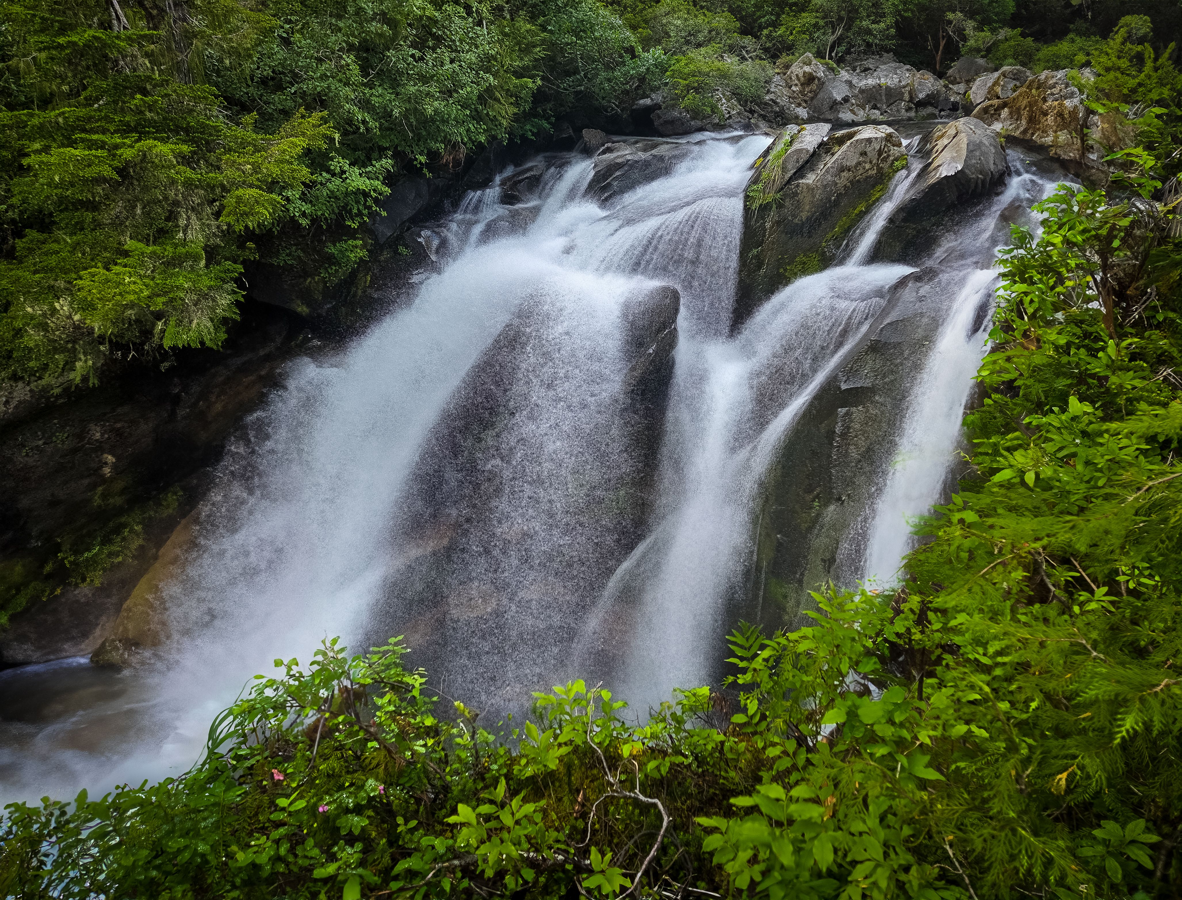 Cascading Waterfall in Lush Washington Forest · Free Stock Photo