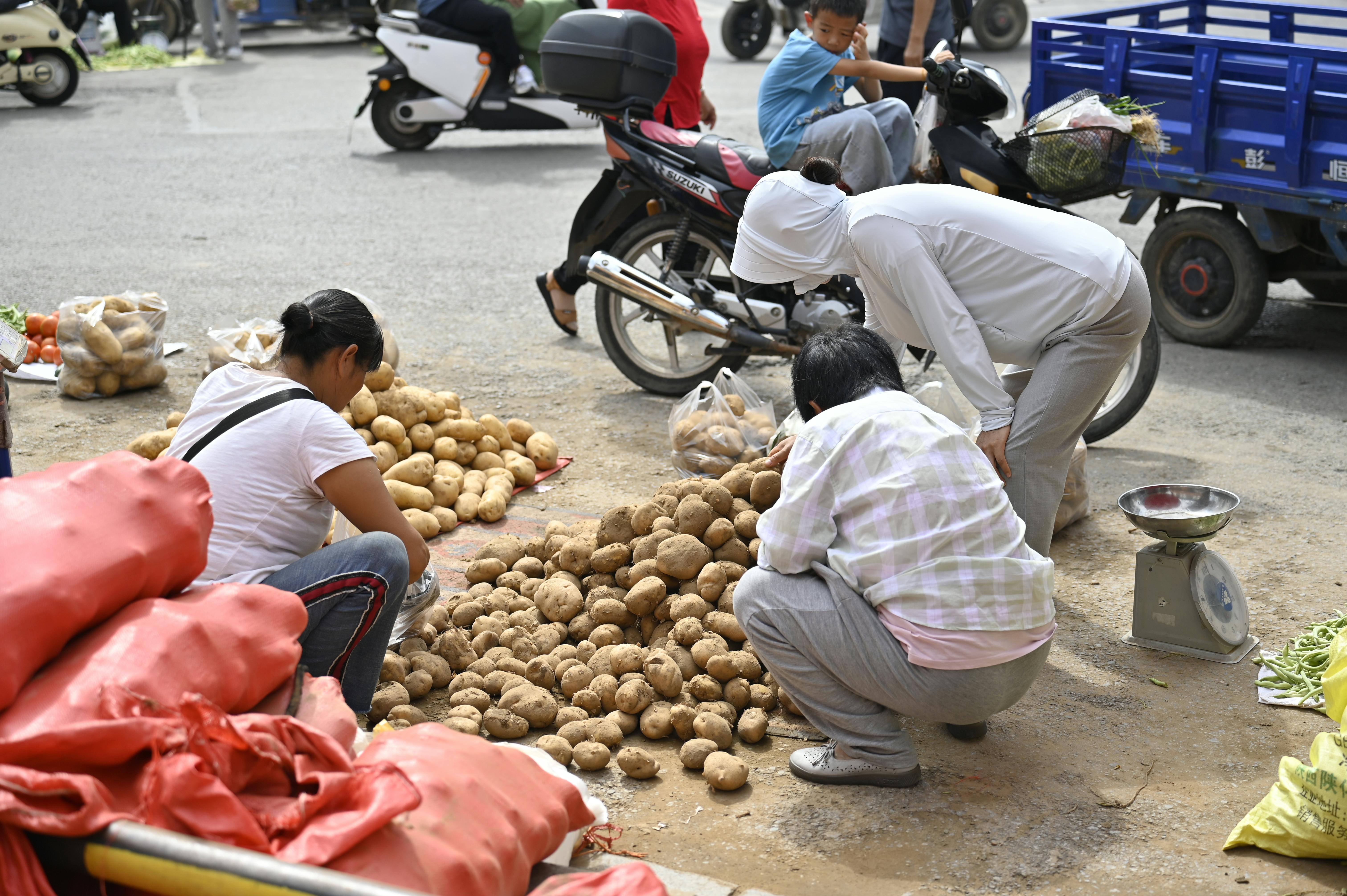 Street Market Scene with Vendors Sorting Potatoes · Free Stock Photo