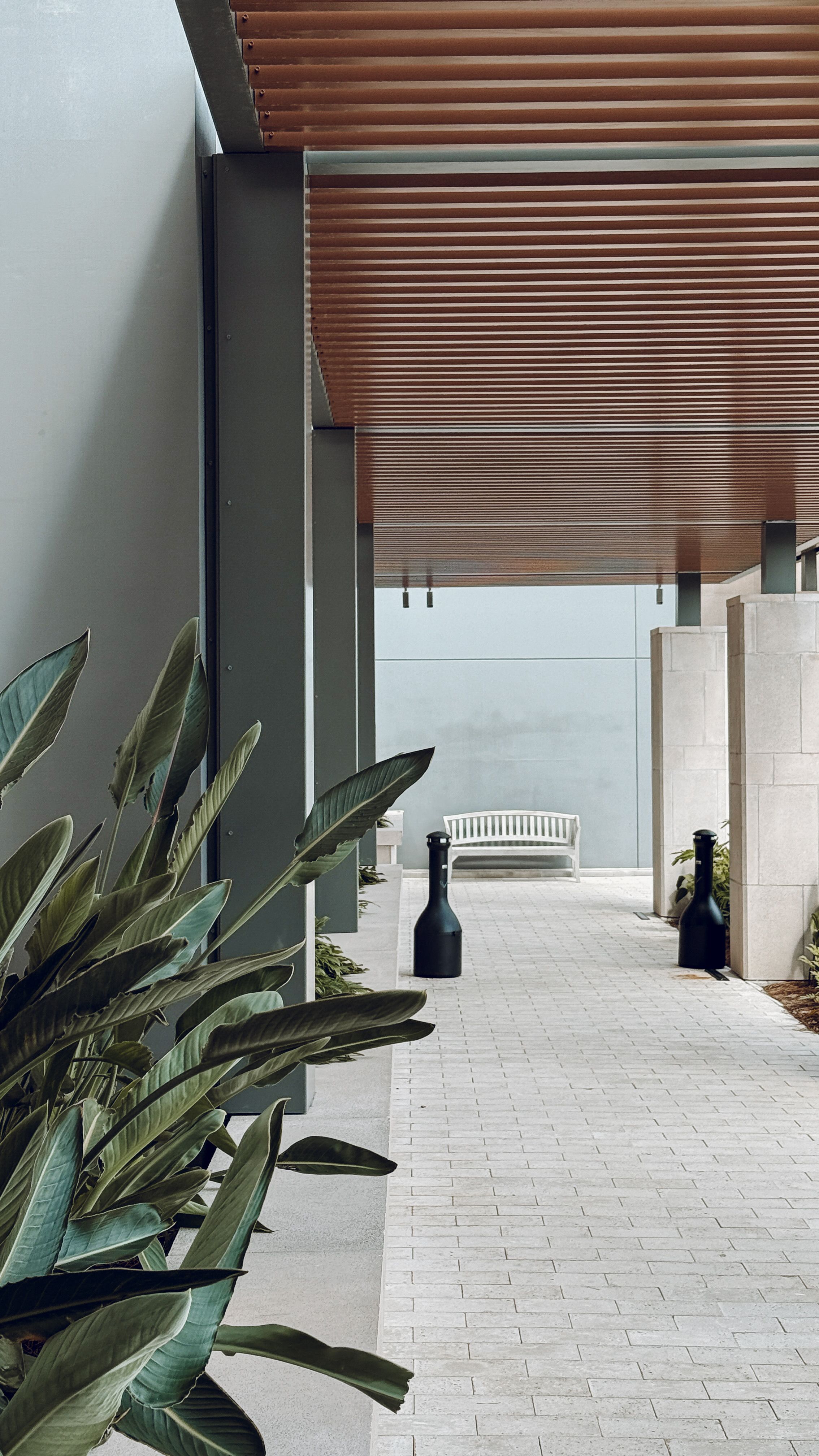 Modern Architectural Walkway with Plants · Free Stock Photo