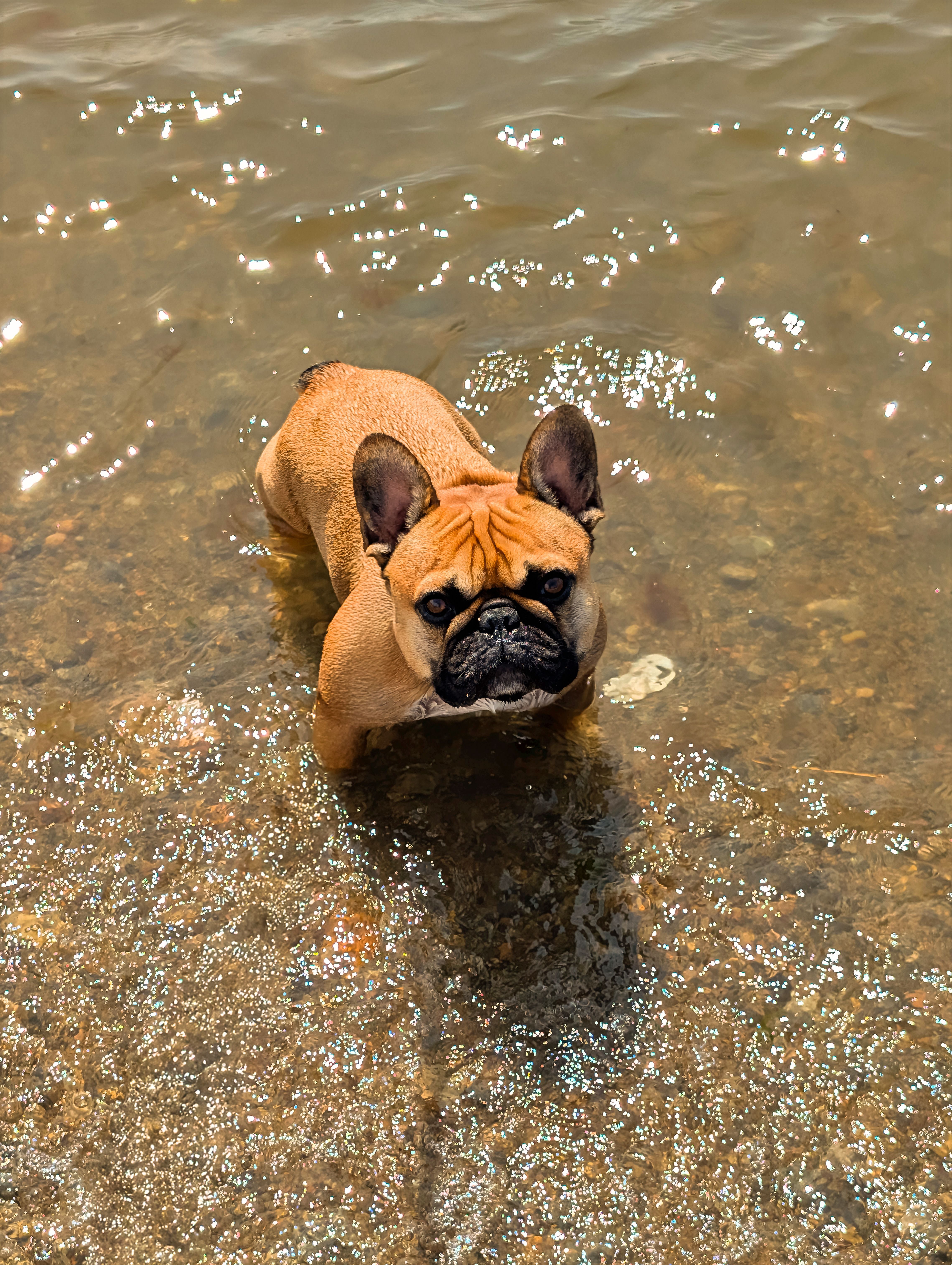 4к Wally Photos, Download The BEST Free 4к Wally Stock Photos & HD Images