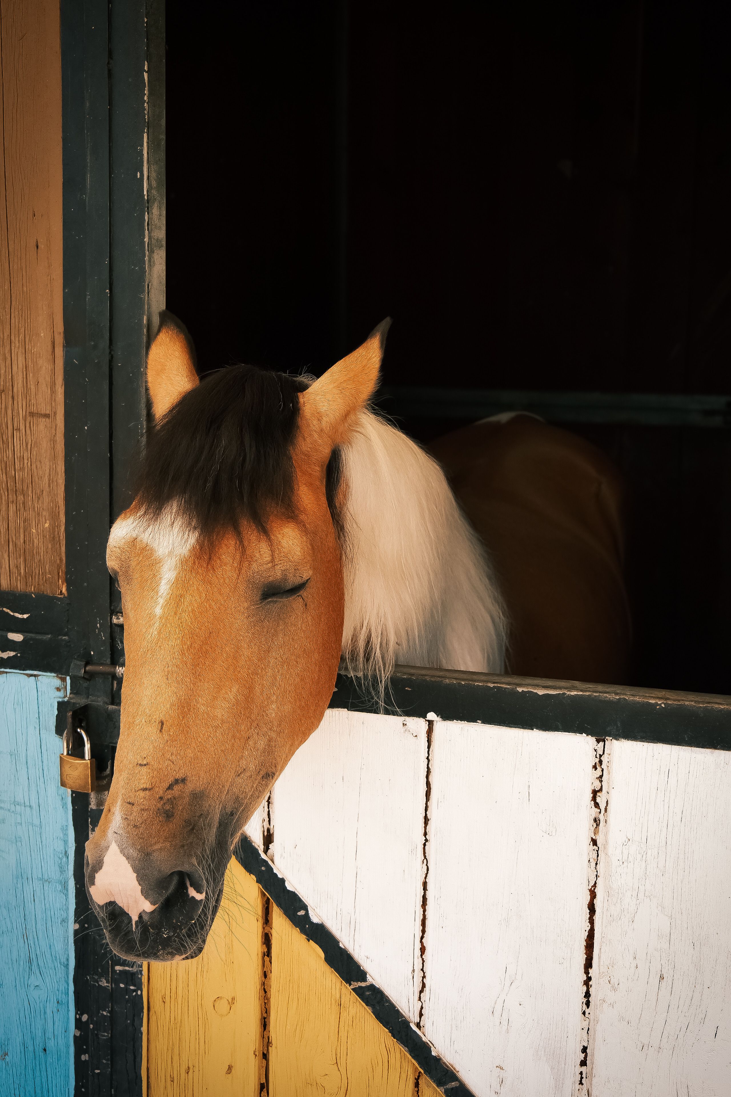 Country Life Photos, Download The BEST Free Country Life Stock Photos ...