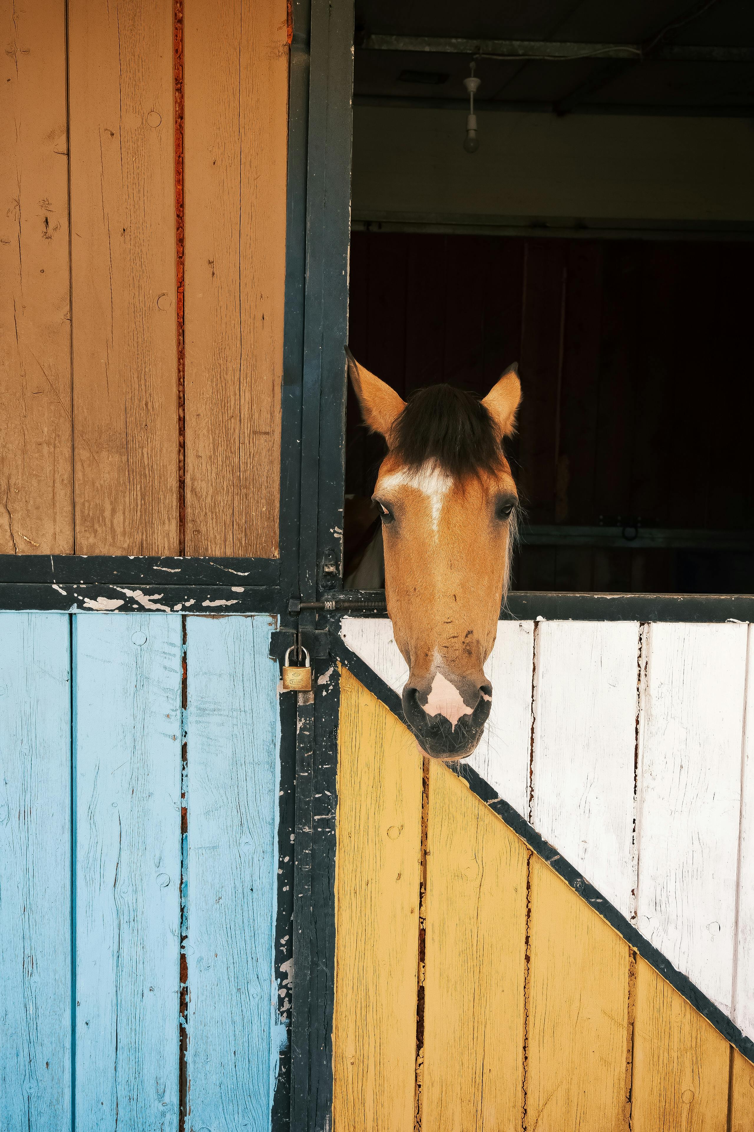 Profile Animated Photos, Download The BEST Free Profile Animated Stock ...