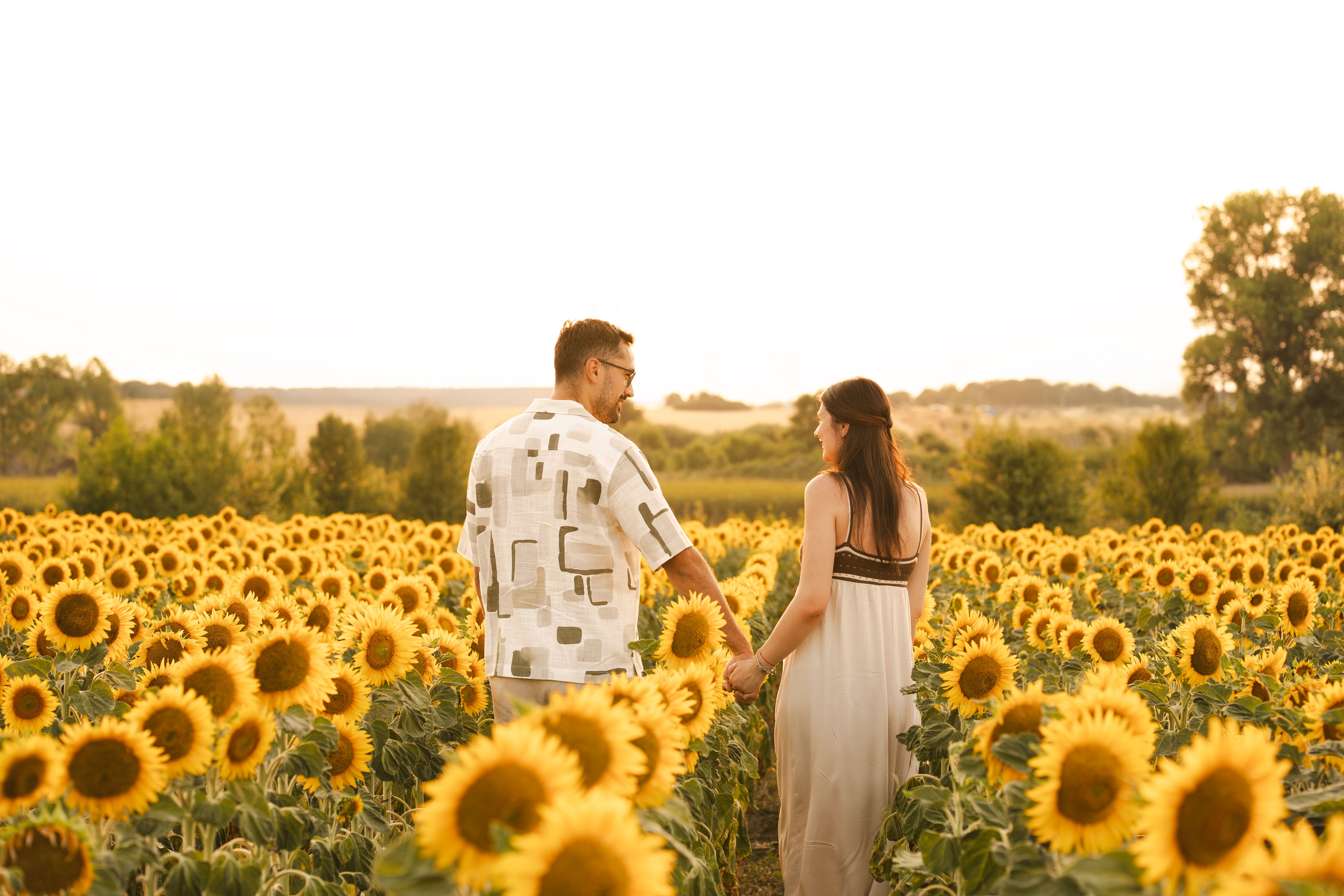 Romantic Couple Walking in Sunflower Field · Free Stock Photo