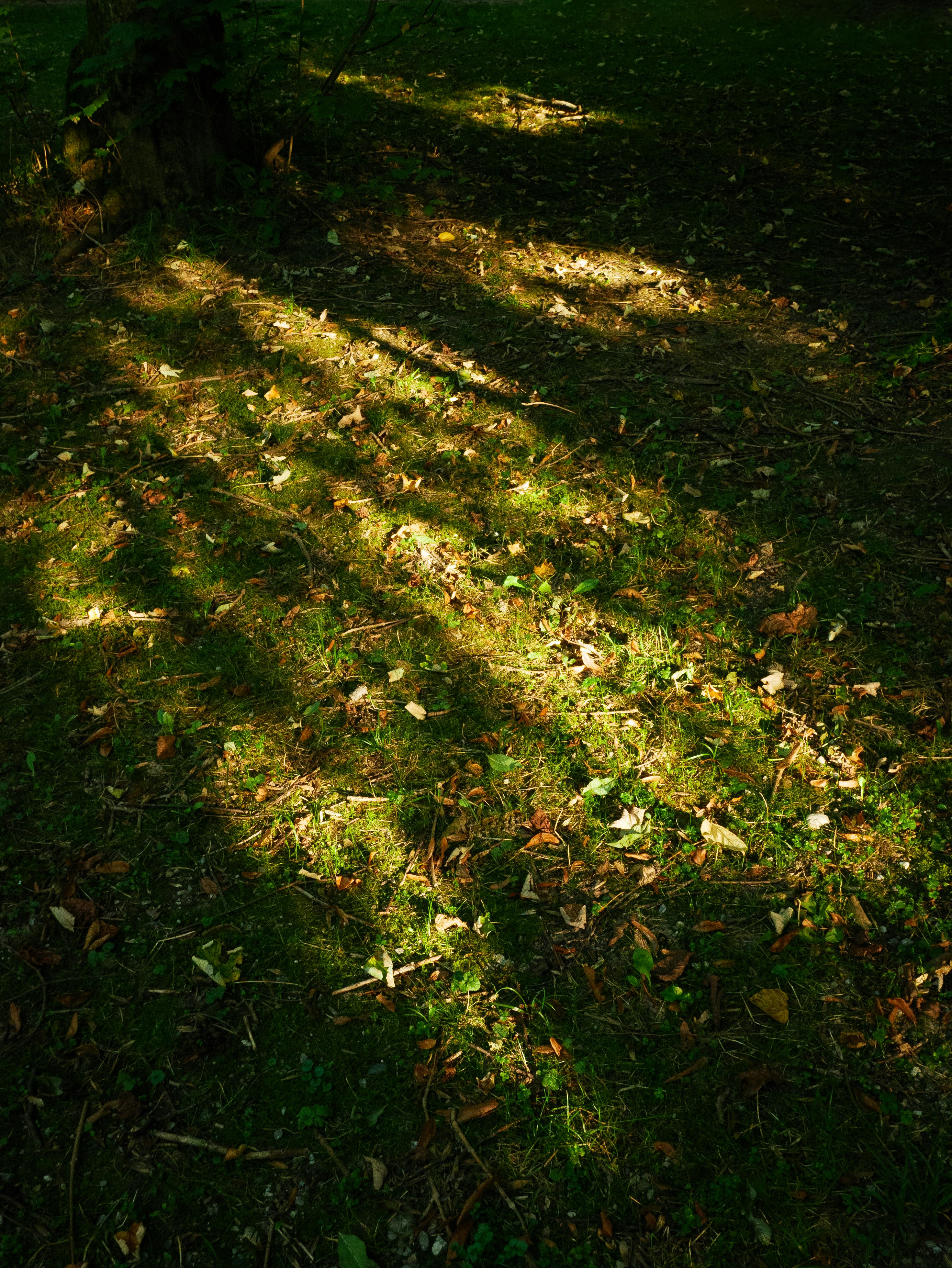 Large+Natural+Breast Photos, Download The BEST Free Large+Natural+Breast Stock Photos & HD Images