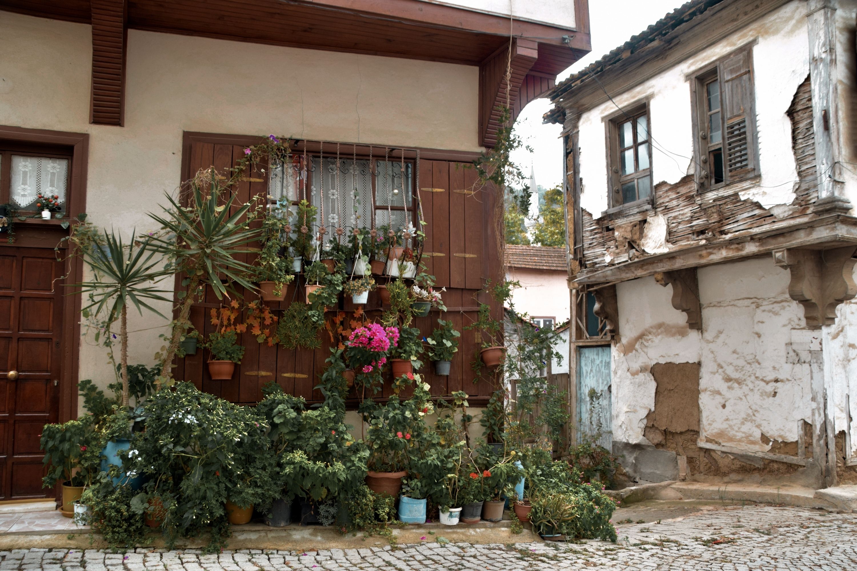 Charming Rustic Street with Potted Plants in Old Town · Free Stock Photo