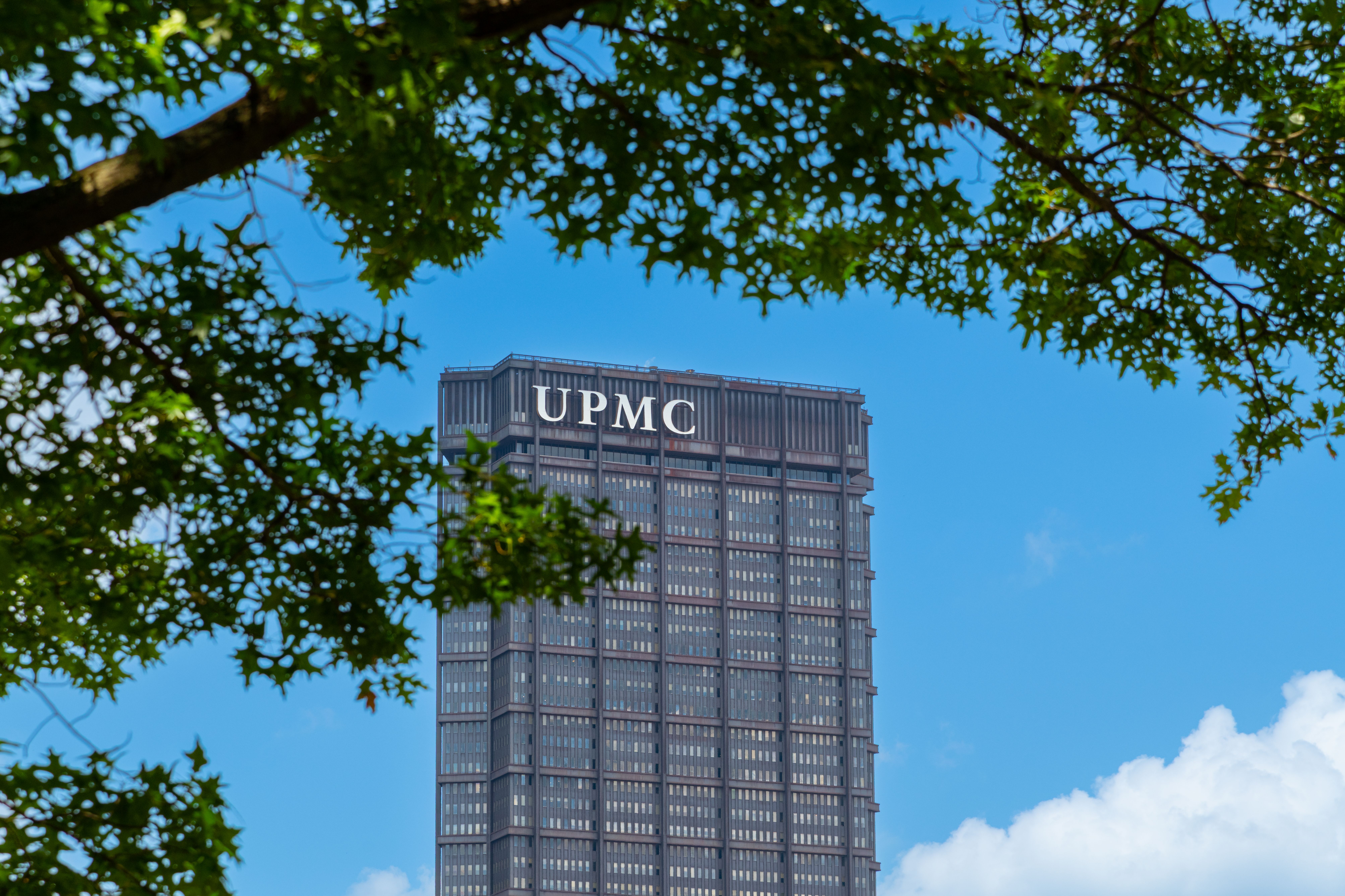 Kpmg Photos, Download The BEST Free Kpmg Stock Photos & HD Images