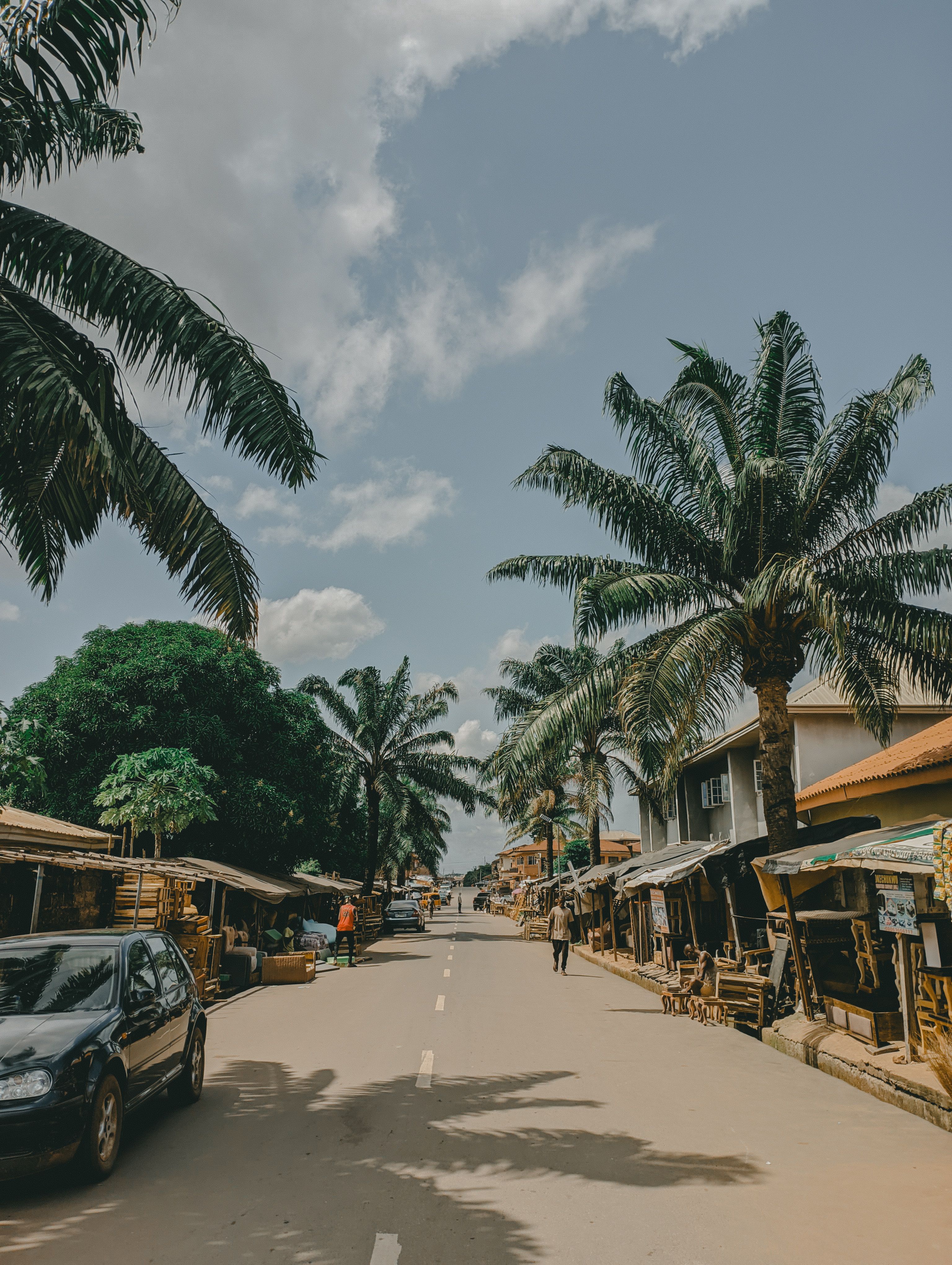 Street View of Enugu, Nigeria with Palm Trees · Free Stock Photo