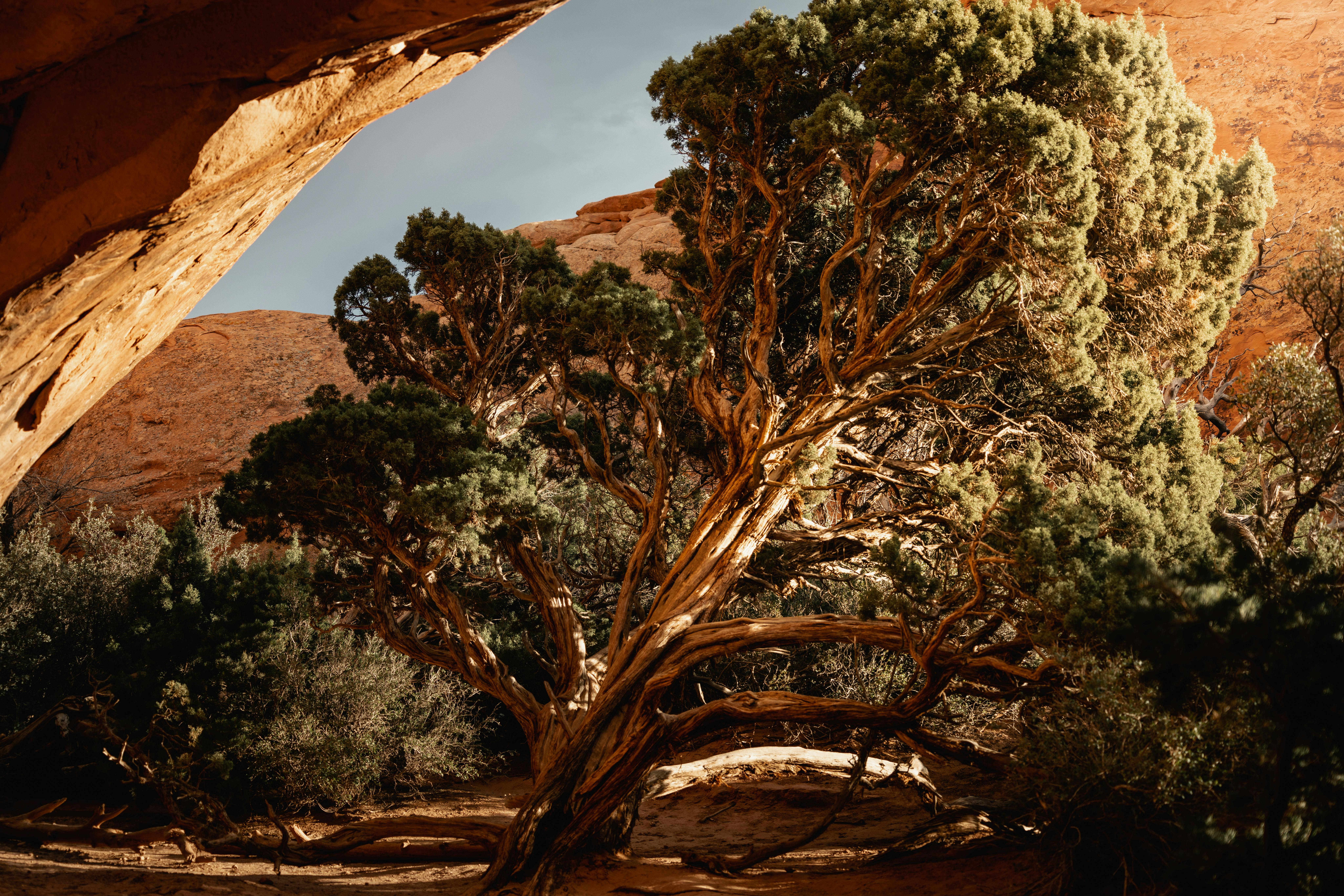 Secluded Trail Photos, Download The BEST Free Secluded Trail Stock ...