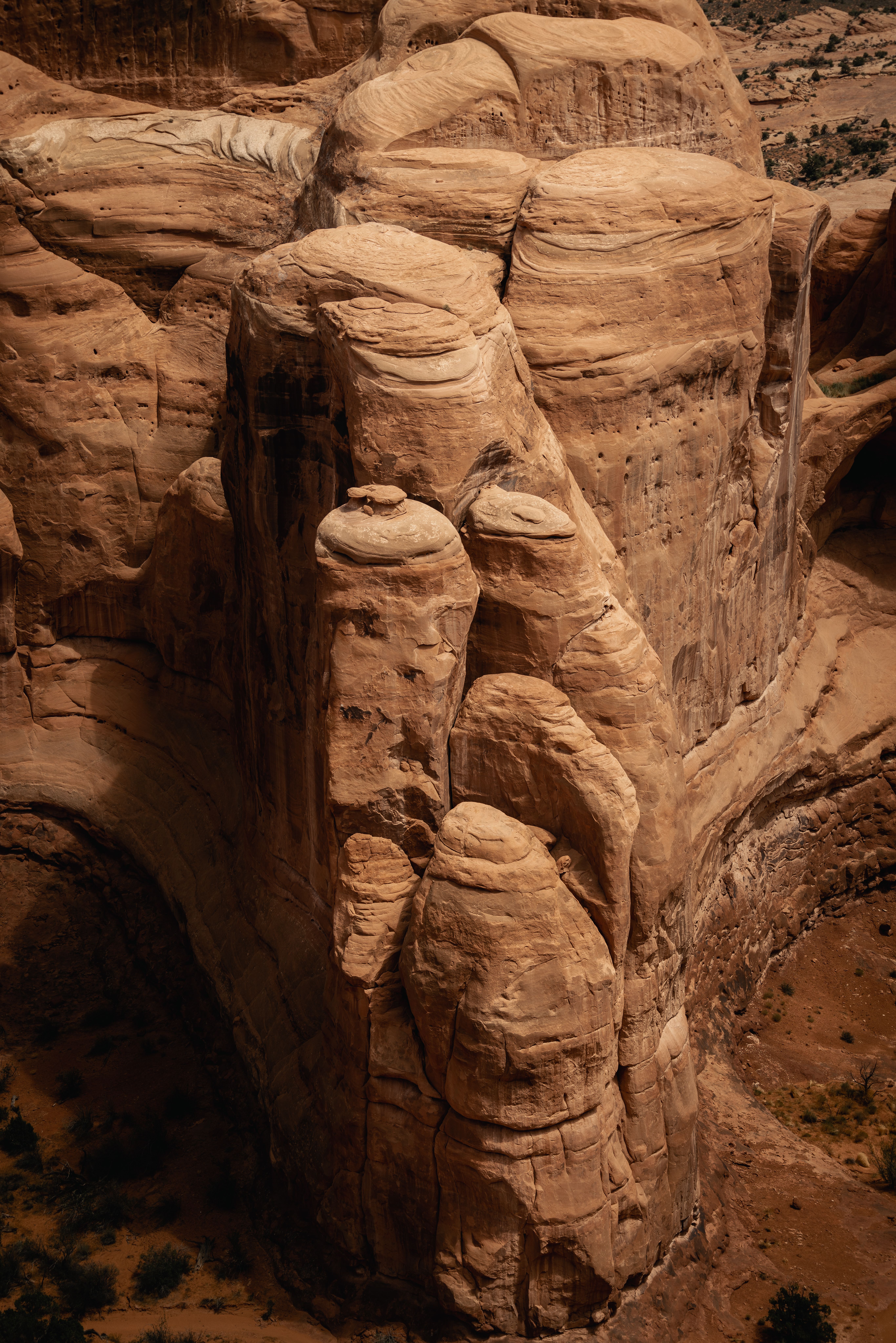 Cong View Tree Photos, Download The BEST Free Cong View Tree Stock ...