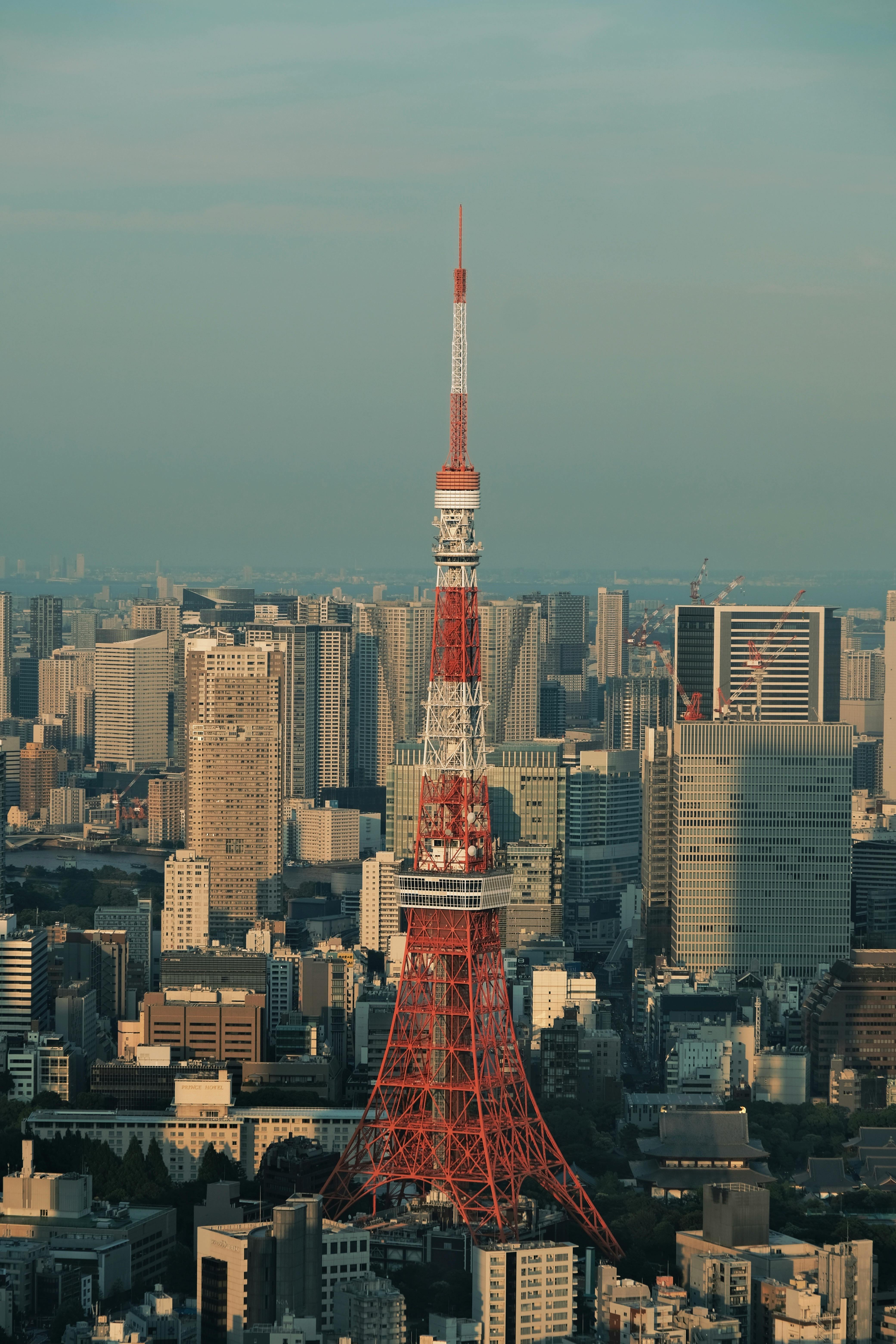 Tokyo Tower Illuminated Against Night Sky · Free Stock Photo