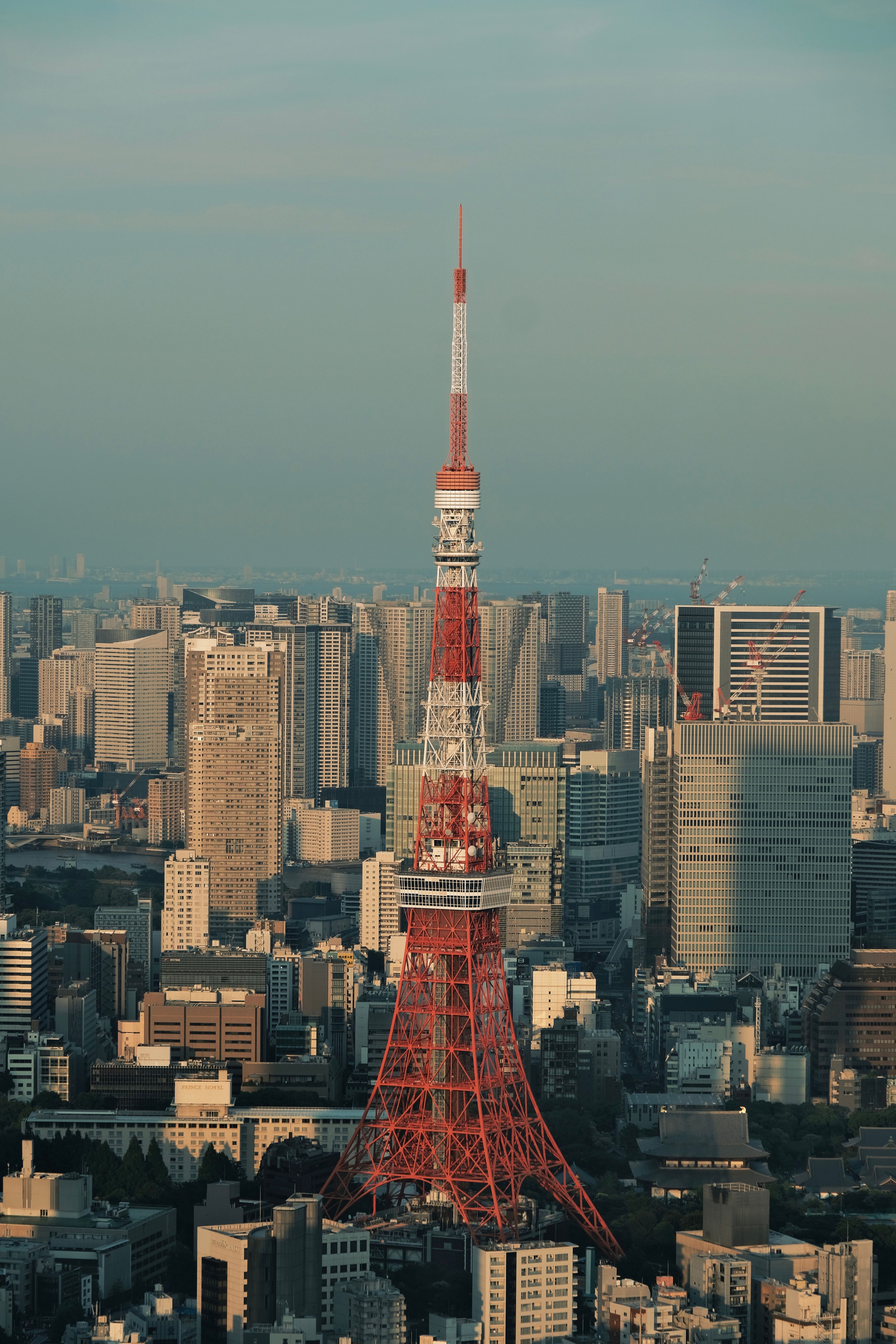 Aerial View of Tokyo Tower at Sunset · Free Stock Photo