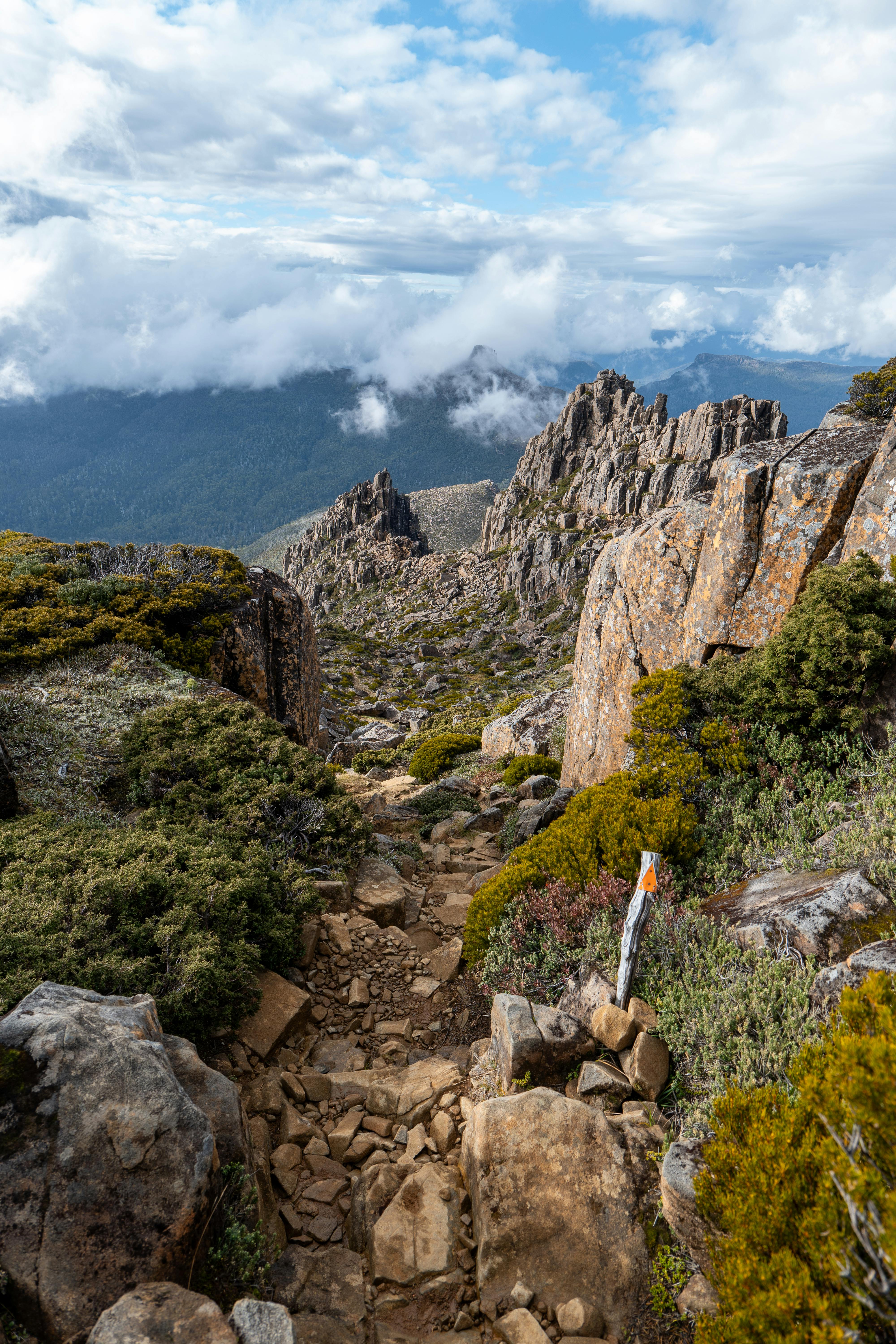 Rugged Mountain Trail in Tasmanian Wilderness · Free Stock Photo