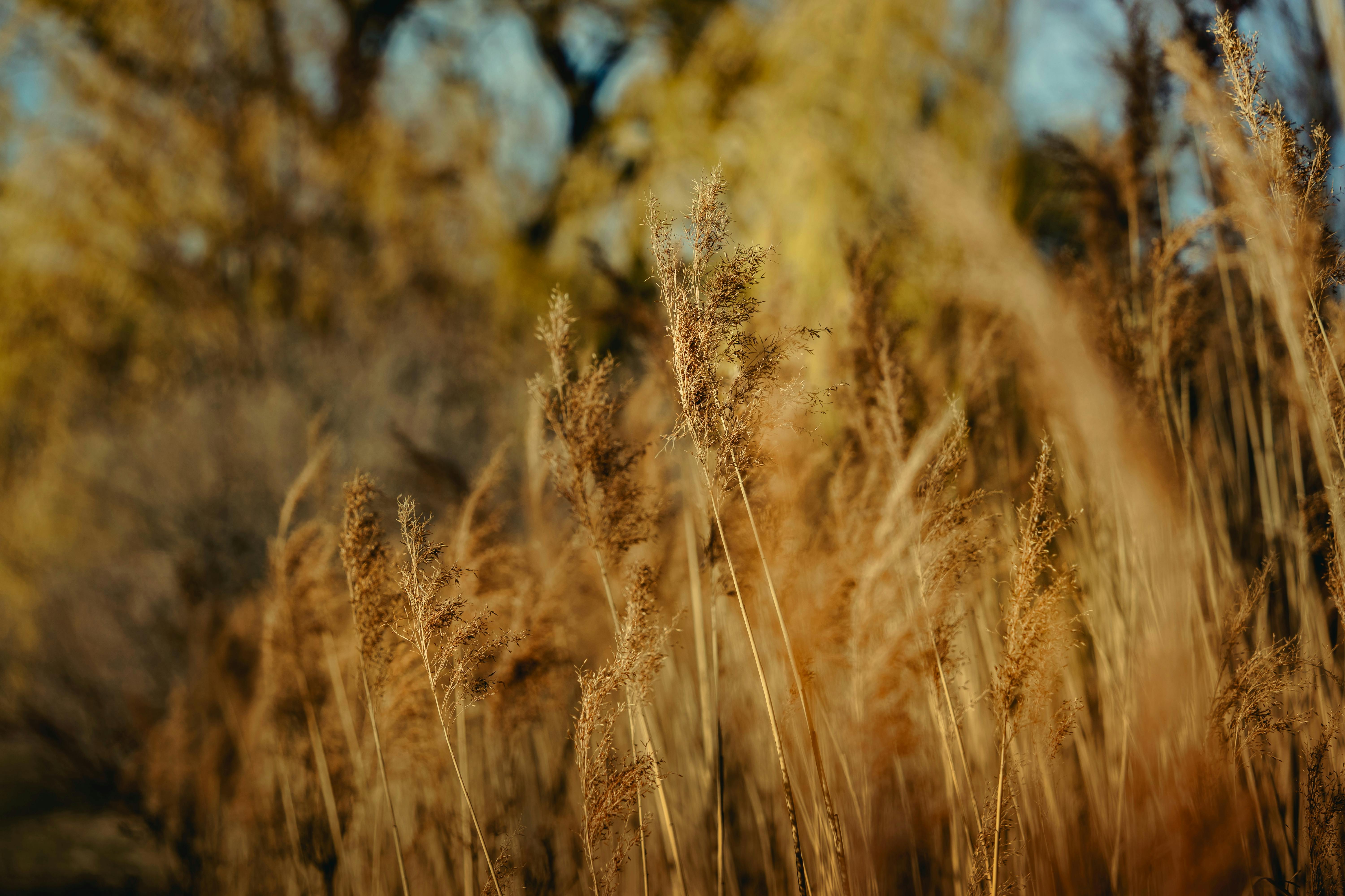 Michael Pointner - Photography