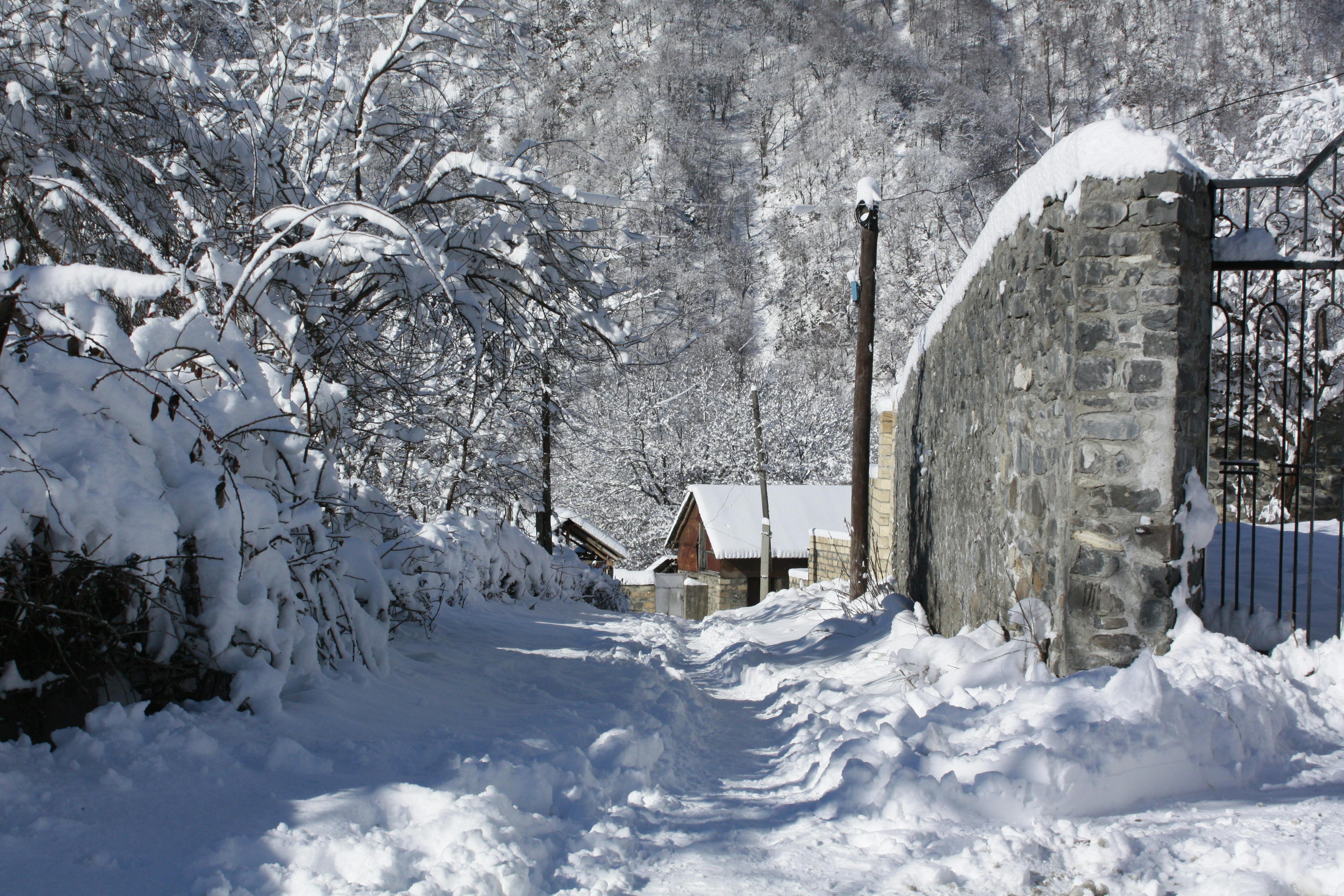 Snowy Winter Pathway in Rustic Village · Free Stock Photo