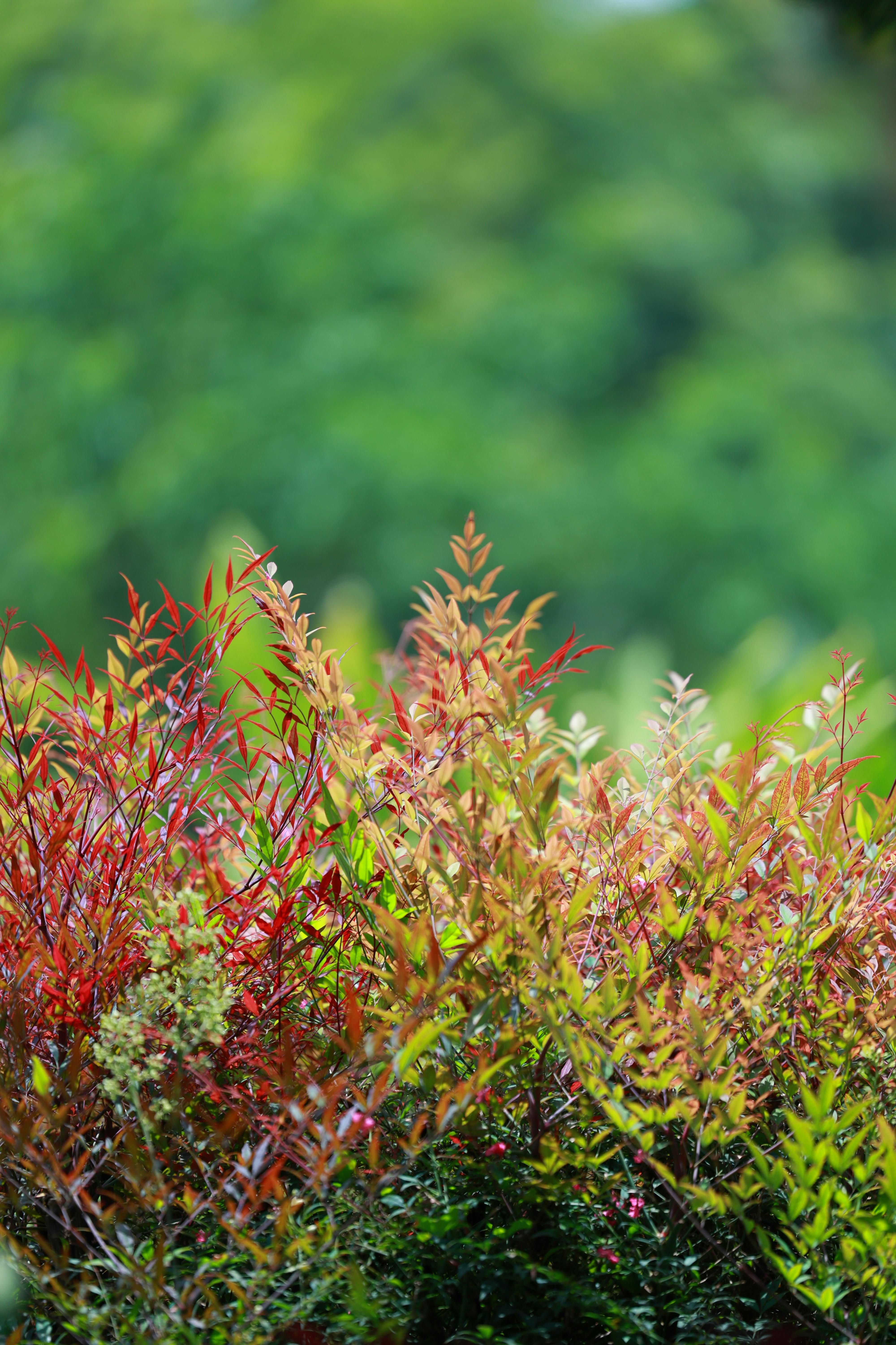 Repo Background Photos, Download The BEST Free Repo Background Stock ...