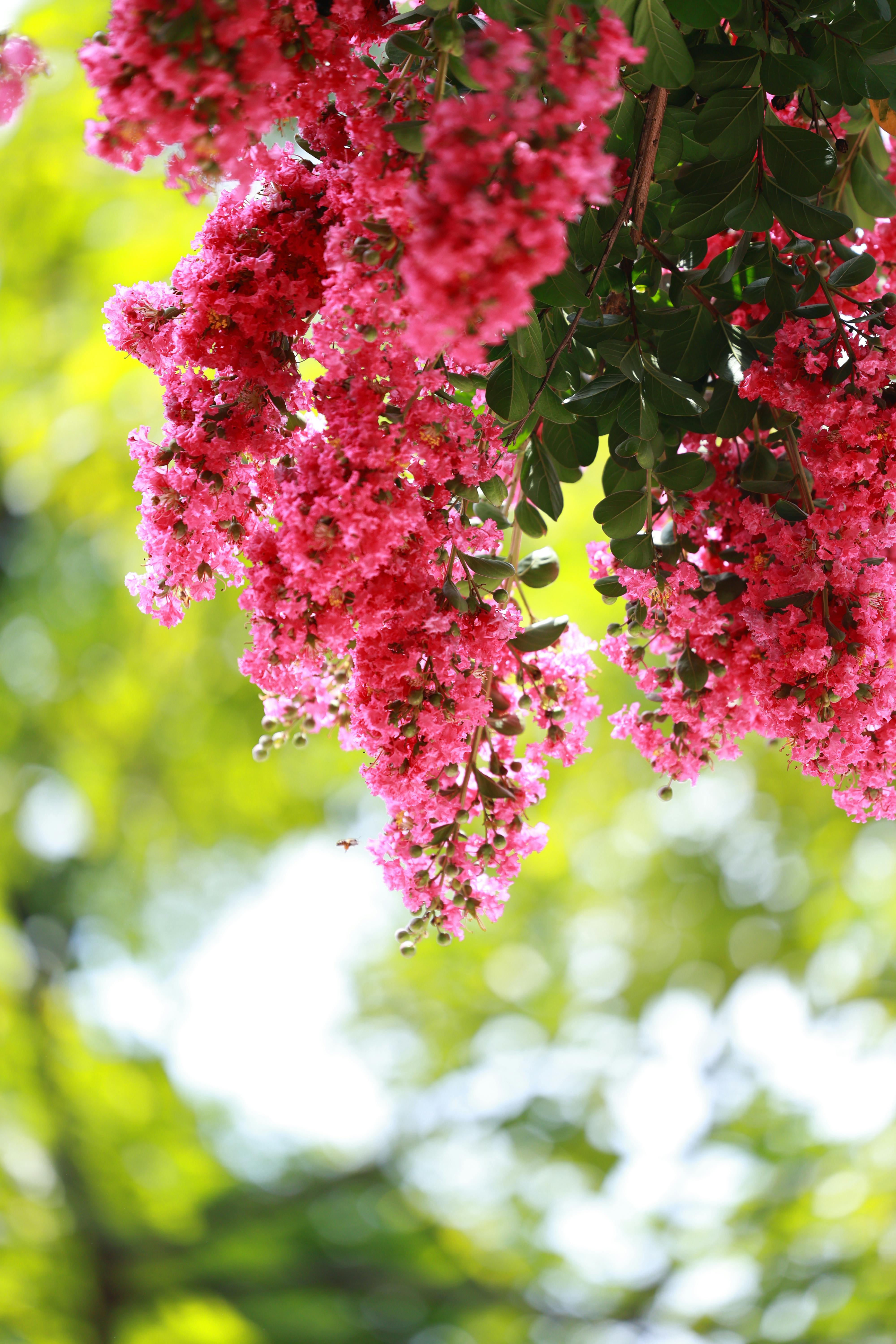 Hinky Pinky Photos, Download The BEST Free Hinky Pinky Stock Photos ...