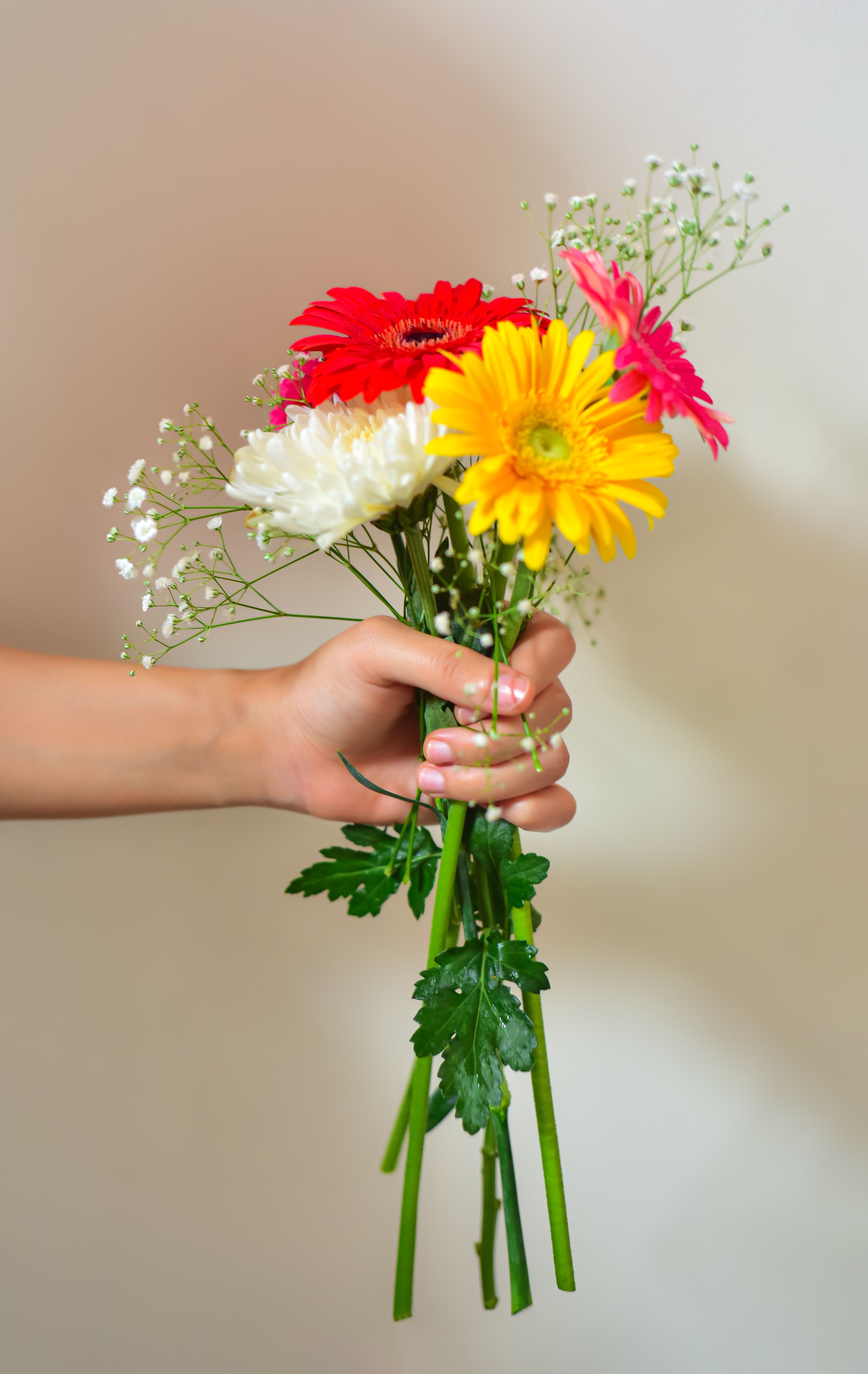 Flower Bukey Photos, Download The BEST Free Flower Bukey Stock Photos ...