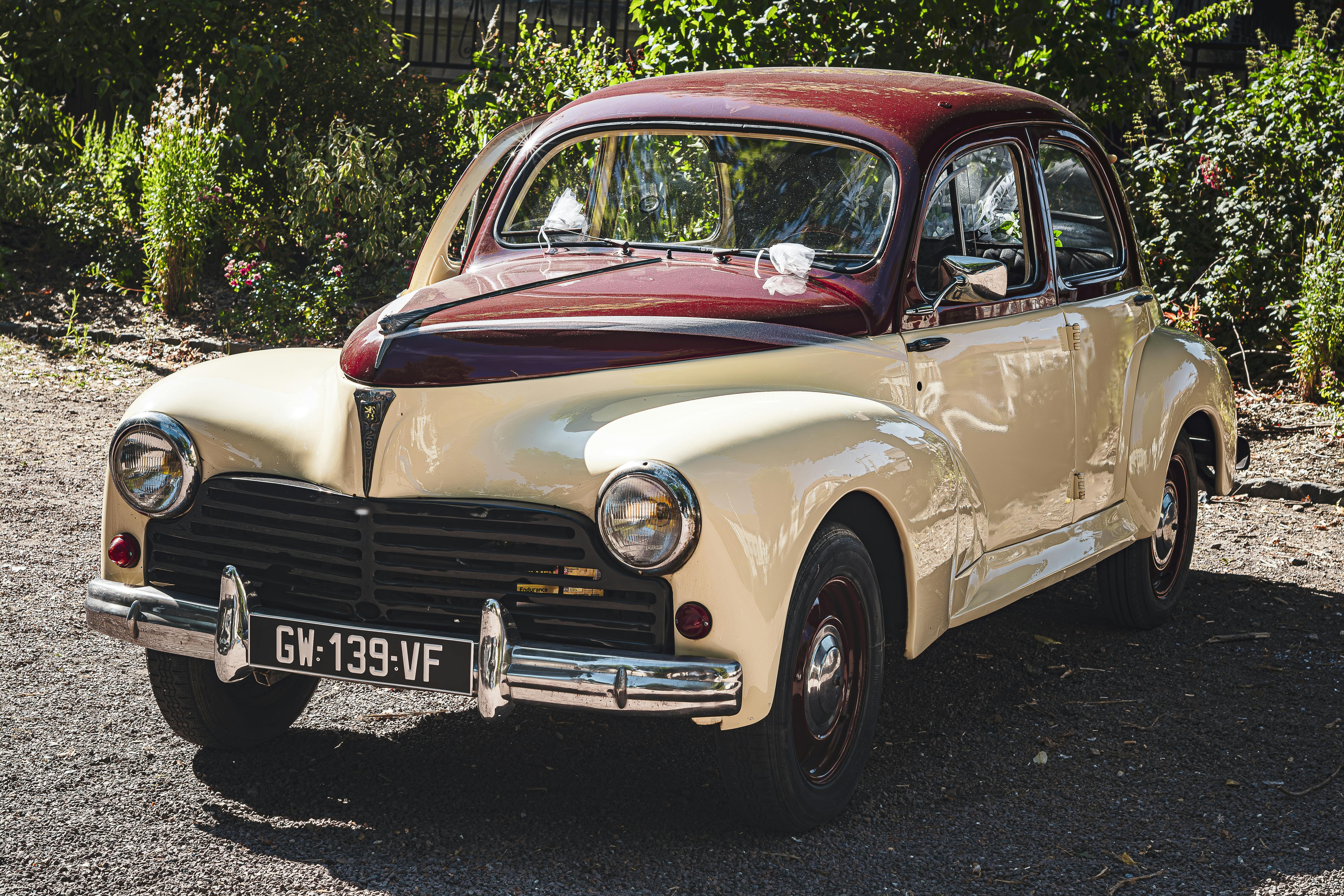 1950s+Lut Photos, Download The BEST Free 1950s+Lut Stock Photos & HD Images