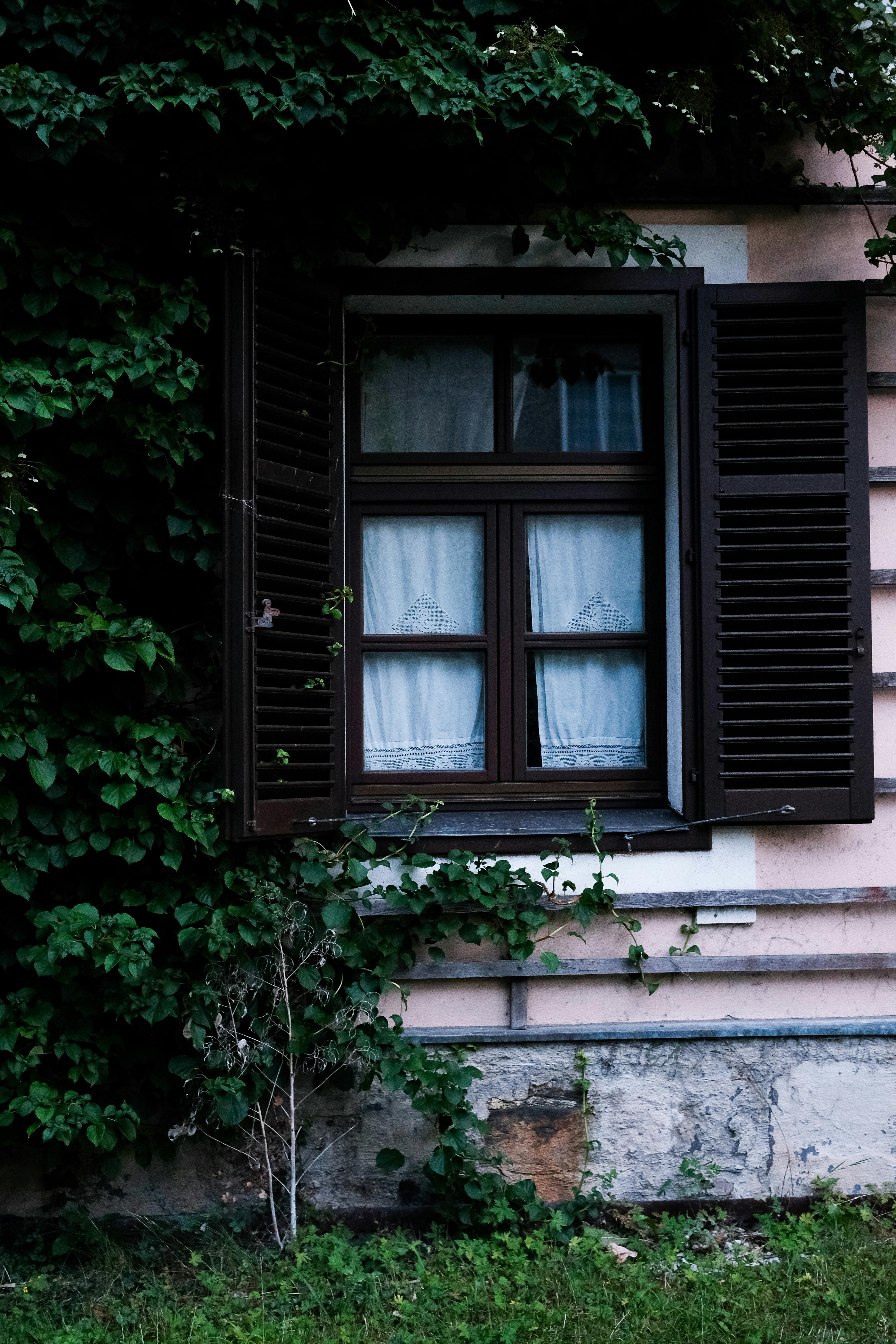 Ornamental Shutters Photos, Download The BEST Free Ornamental Shutters ...