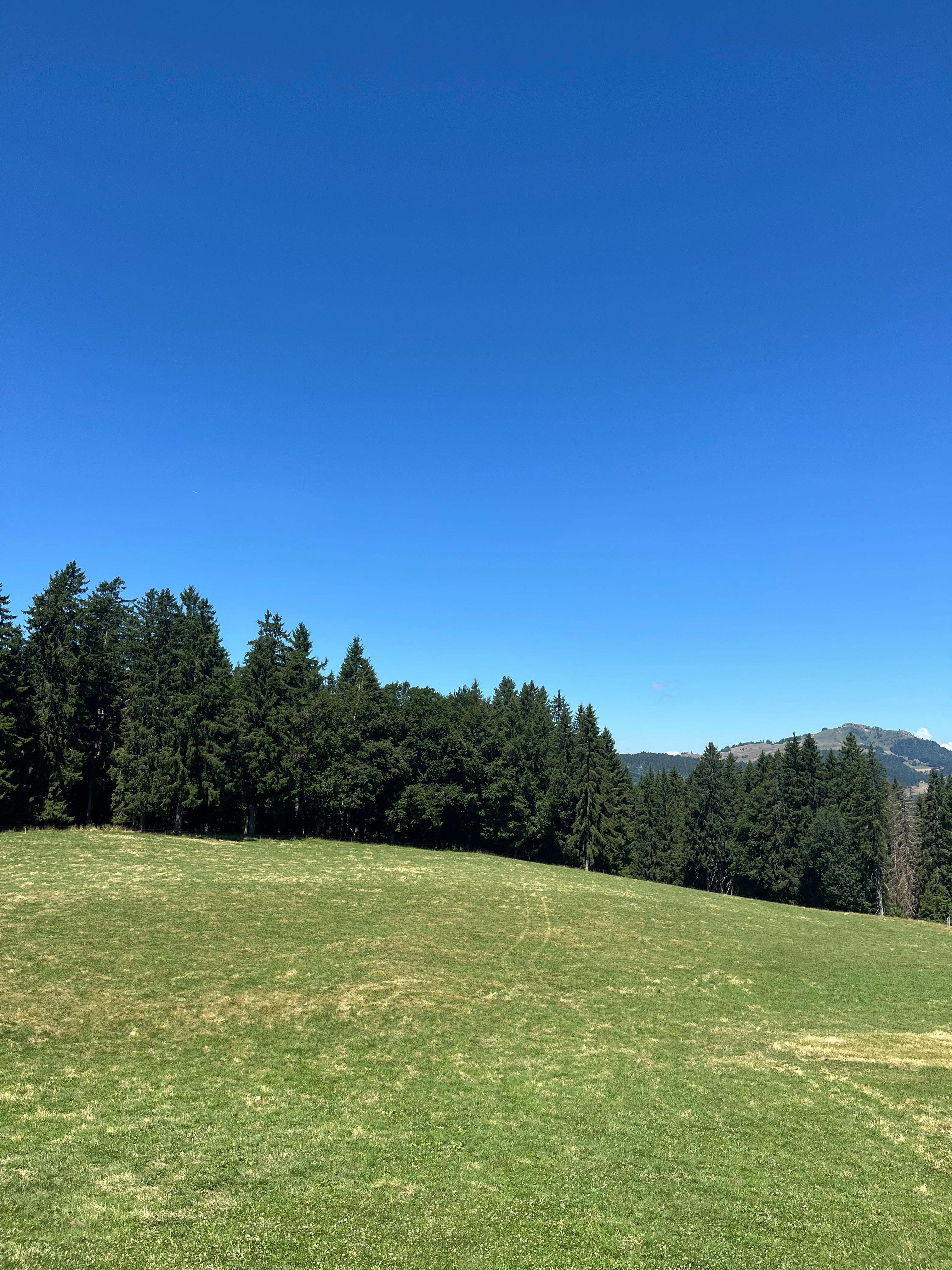 Tree Line Photos, Download The BEST Free Tree Line Stock Photos & HD Images