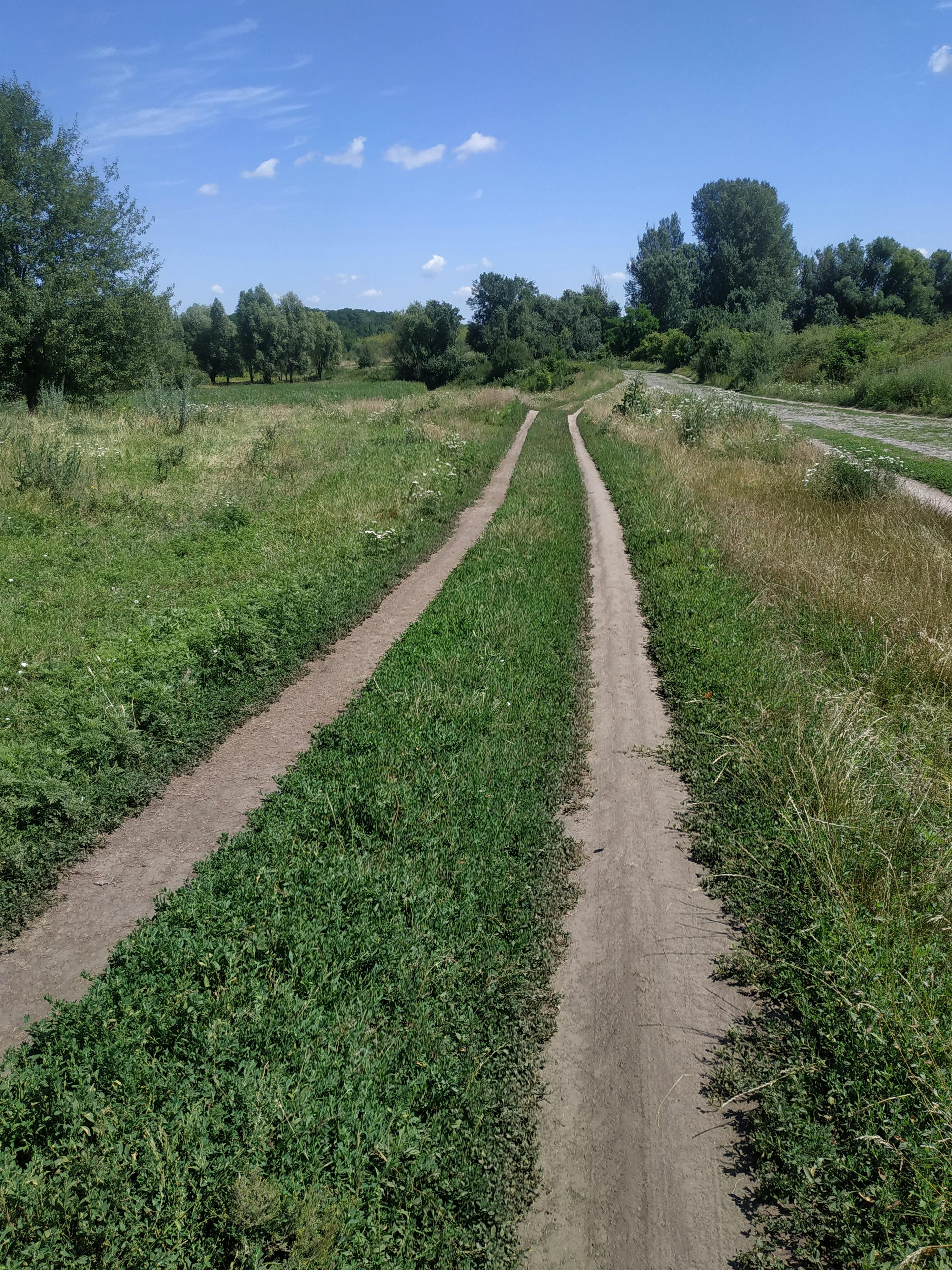 Stra Track Photos, Download The BEST Free Stra Track Stock Photos & HD ...