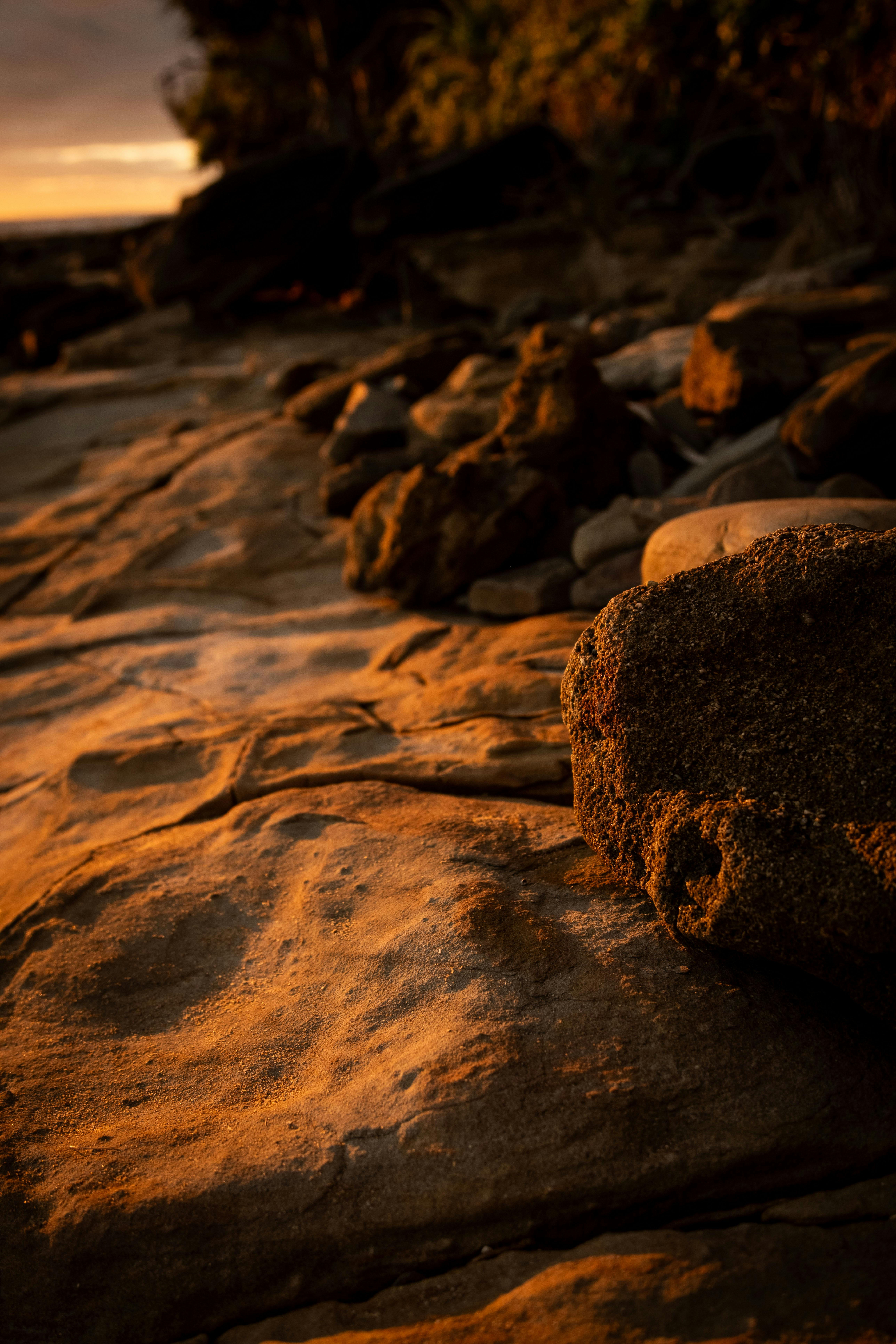 Gold Coast Portrait Photos, Download The BEST Free Gold Coast Portrait ...