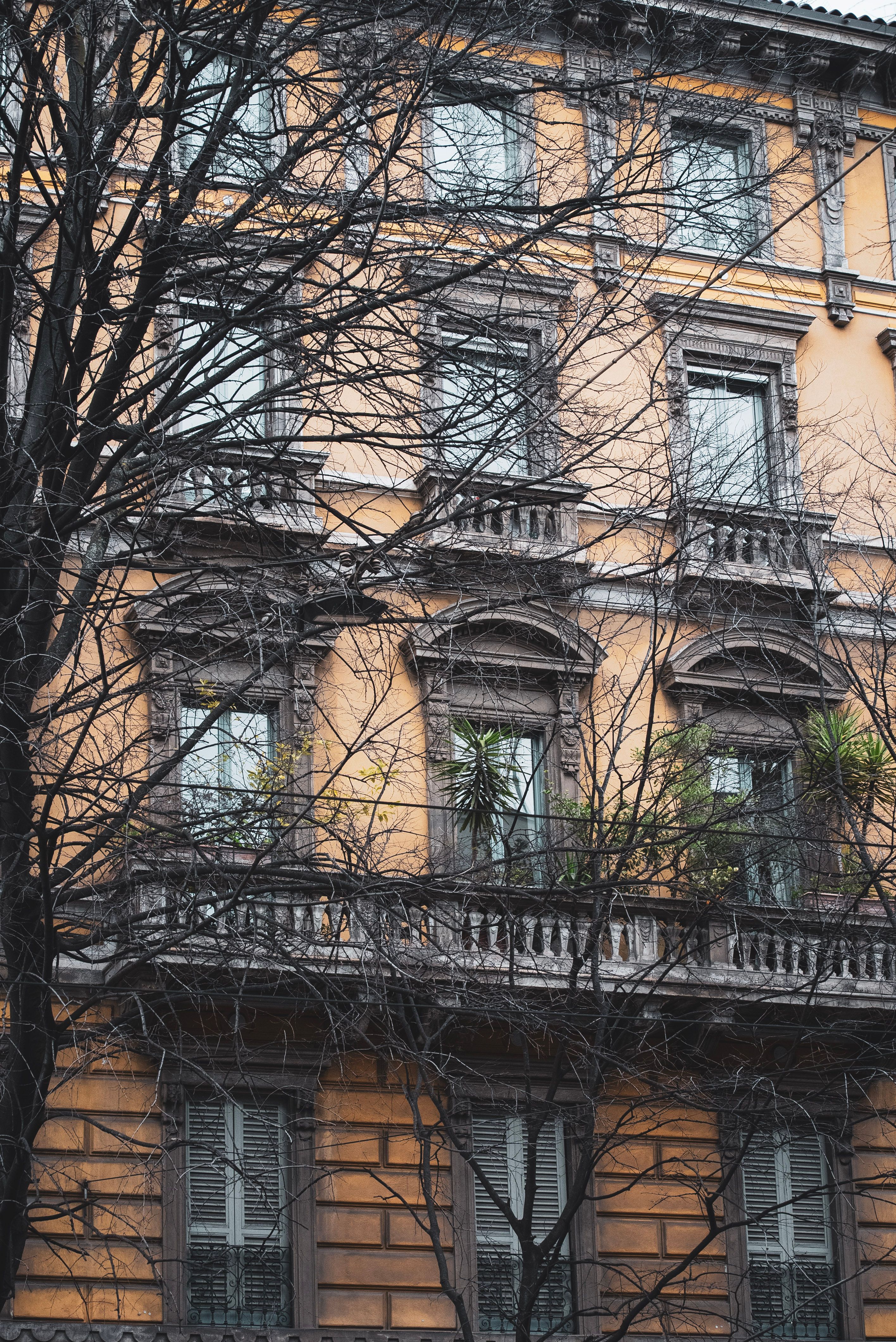 Arquitectura Clásica Italiana Con árboles Desnudos · Foto de stock gratuita