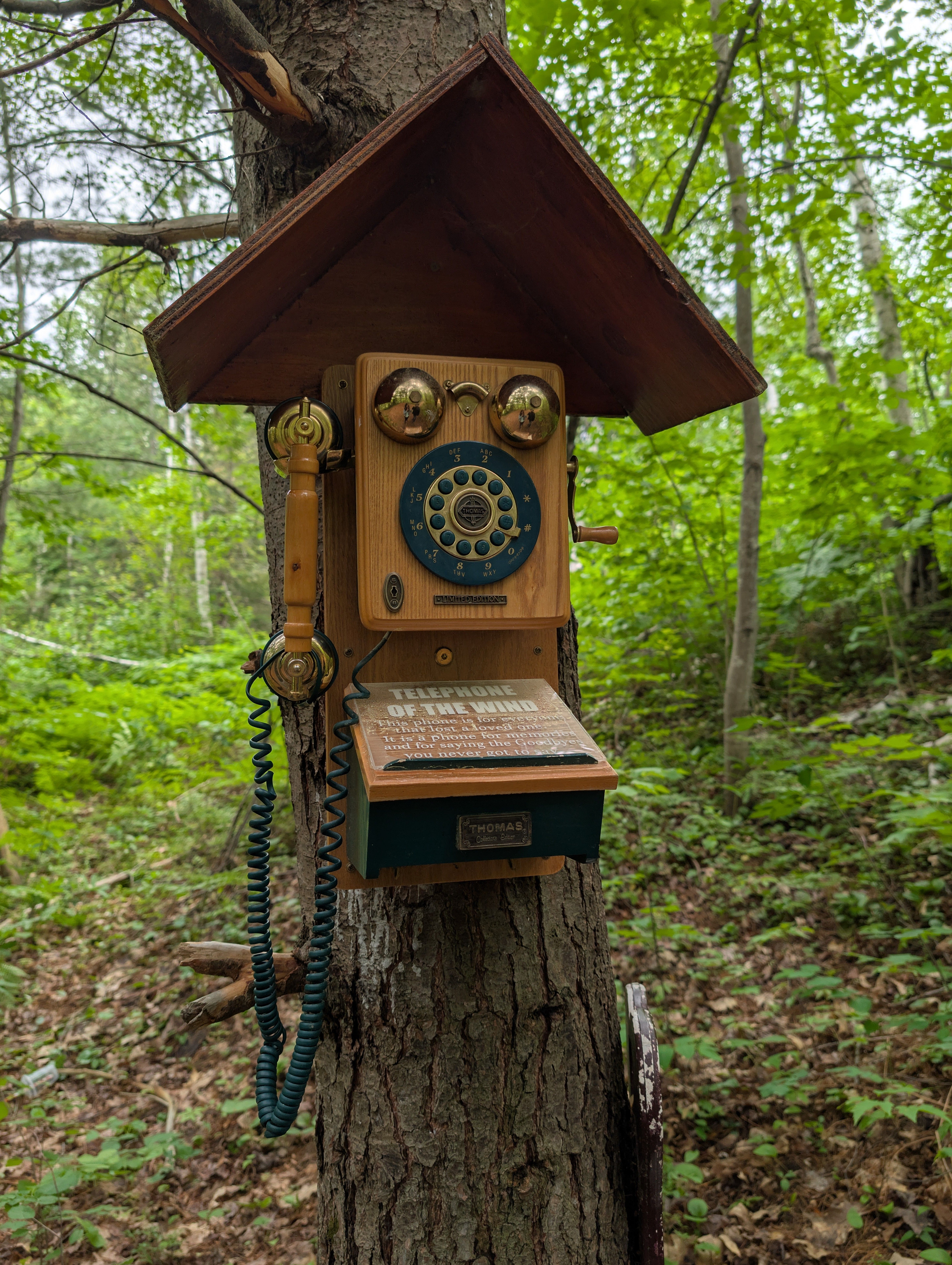Vintage Phone Booth in Forest Setting · Free Stock Photo