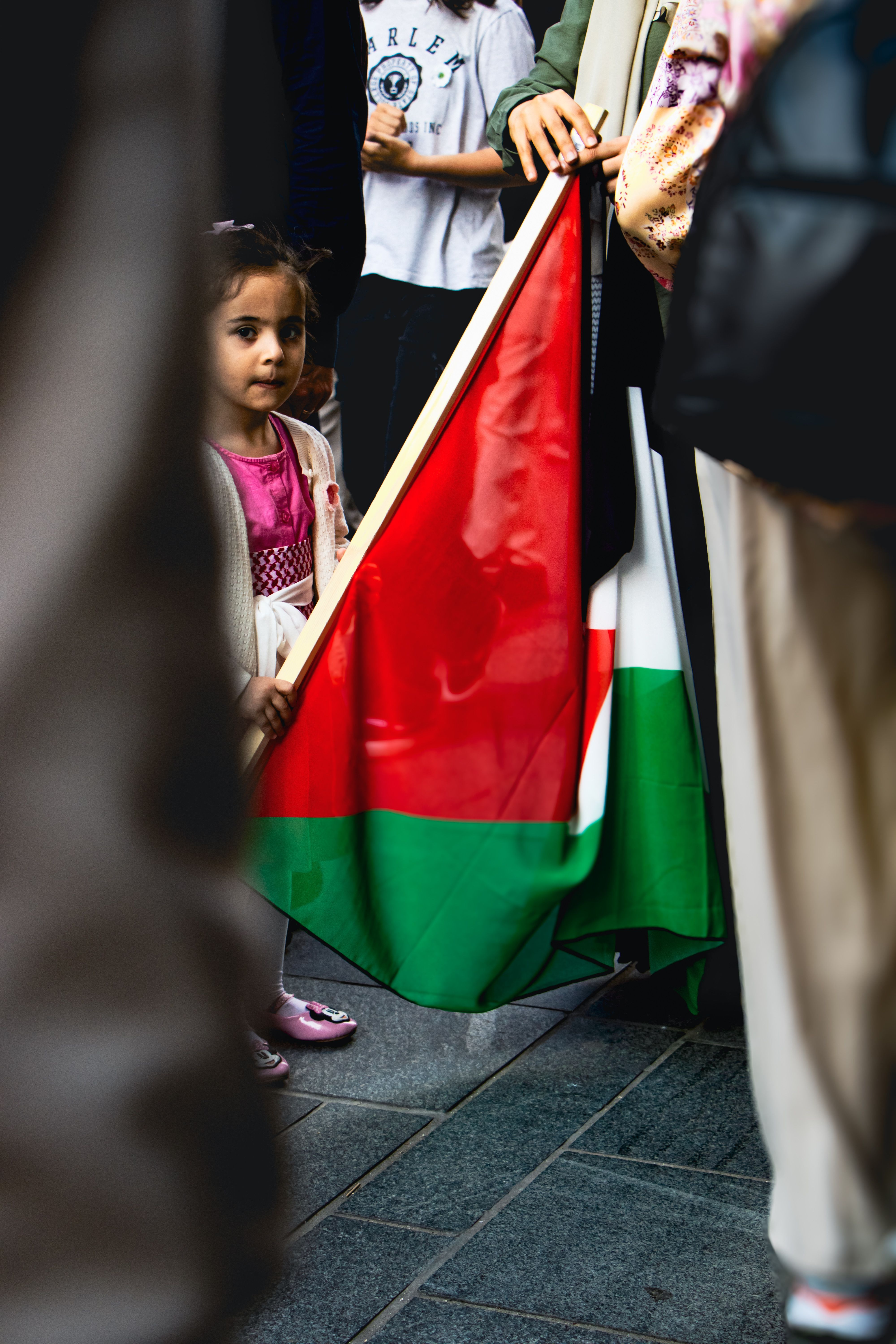 Child Holding a National Flag at Outdoor Event · Free Stock Photo
