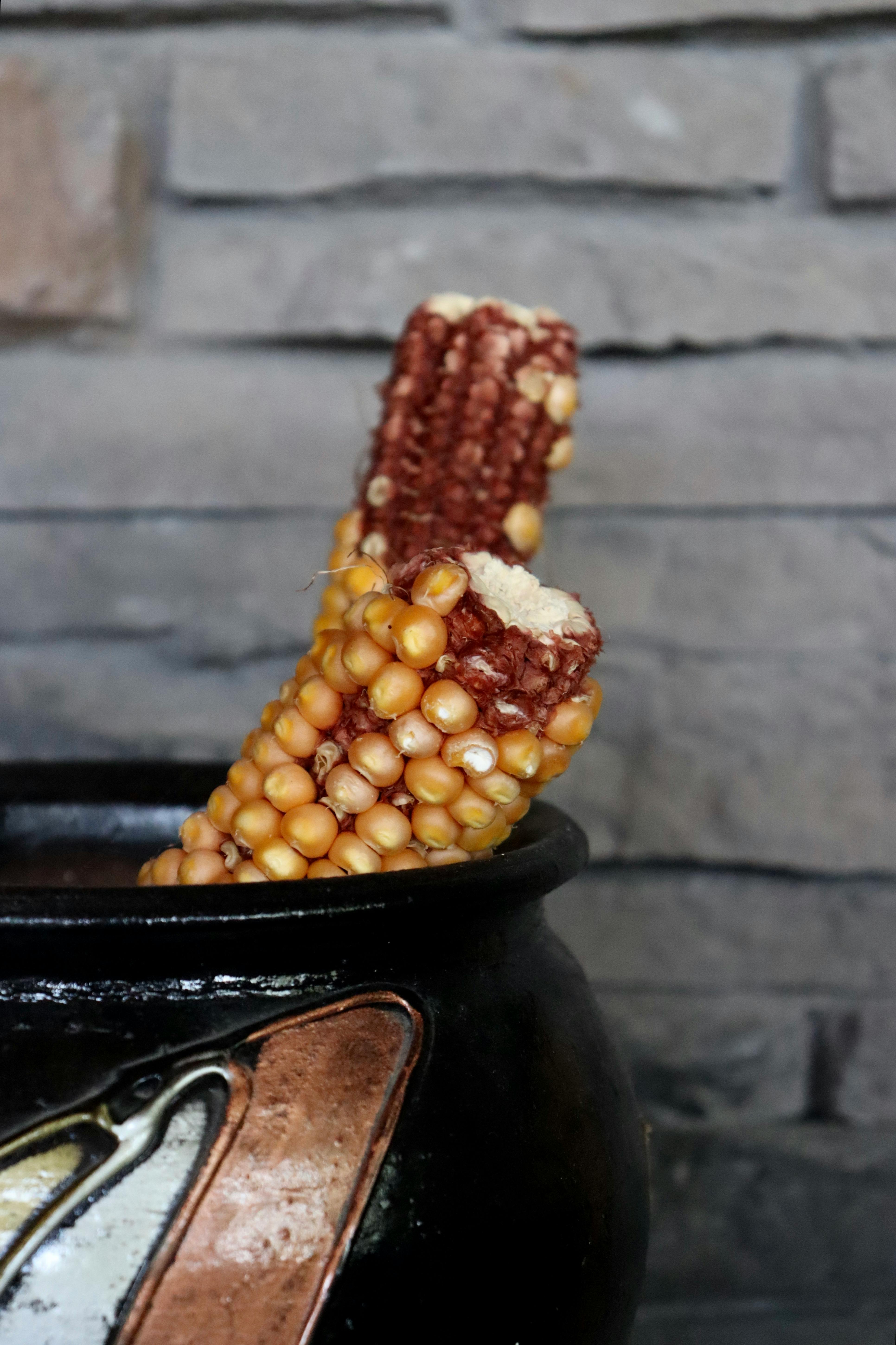 Traditional Crops Photos, Download The BEST Free Traditional Crops ...