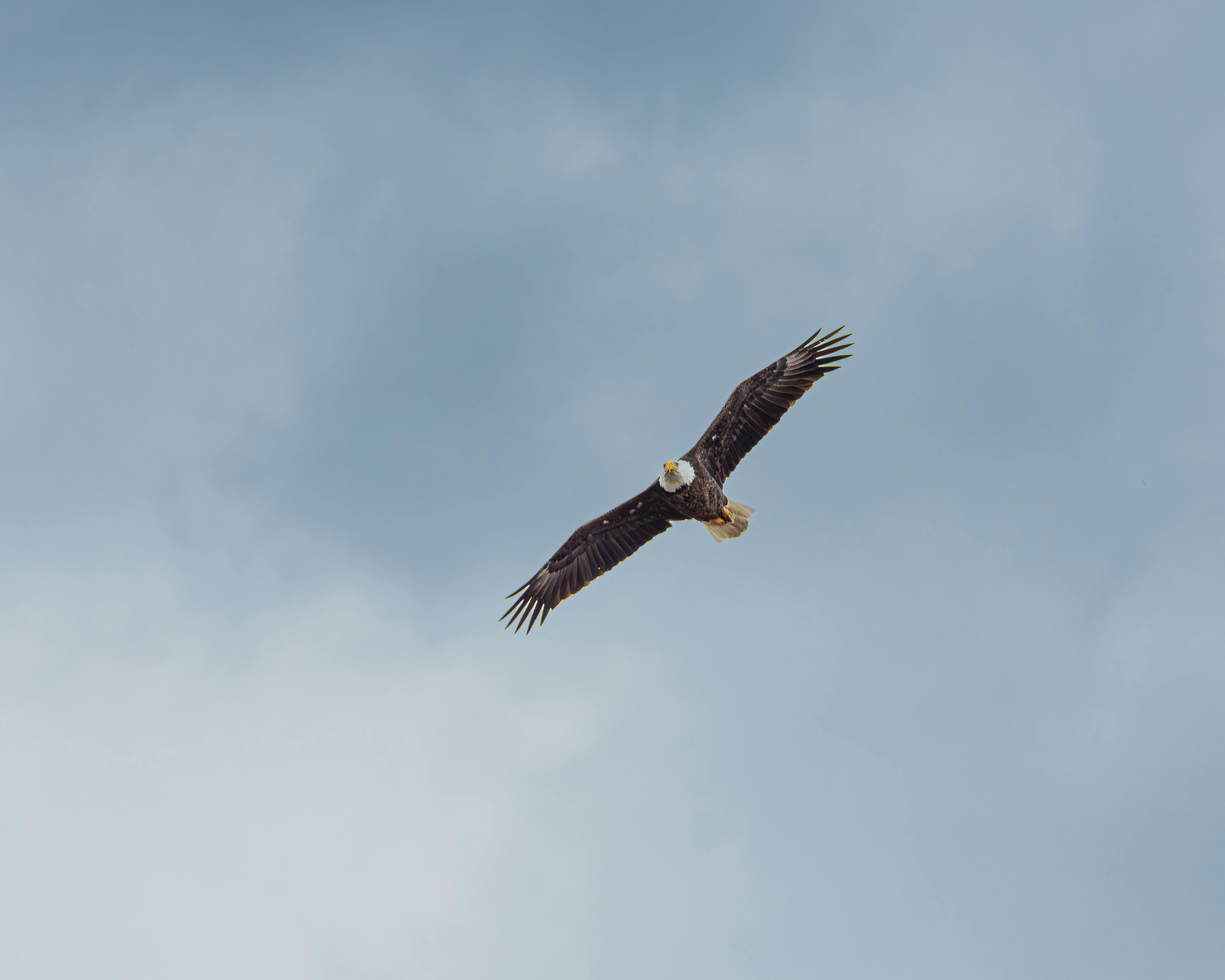 Ubar Icon Photos, Download The BEST Free Ubar Icon Stock Photos & HD Images