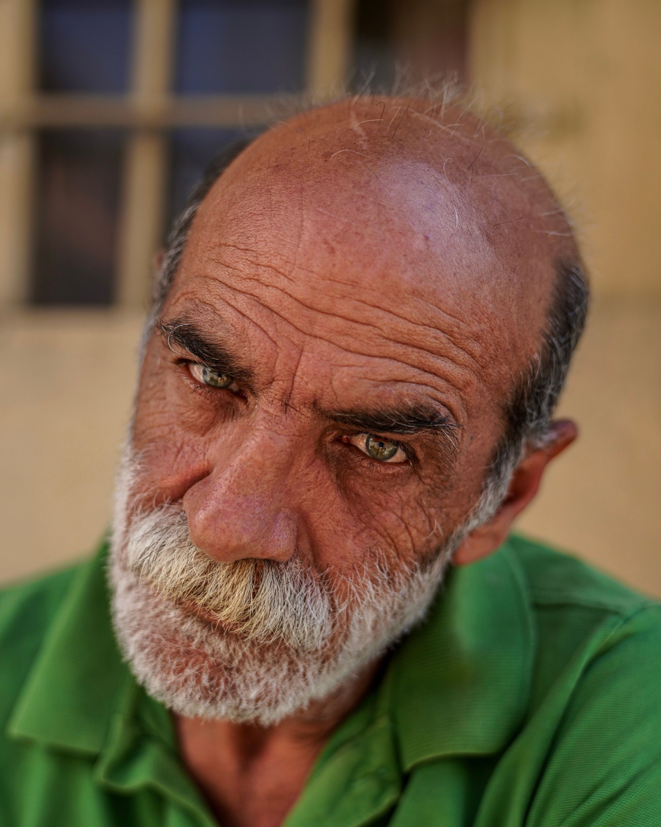 Portrait of an Elderly Man in a White Collared Shirt · Free Stock Photo