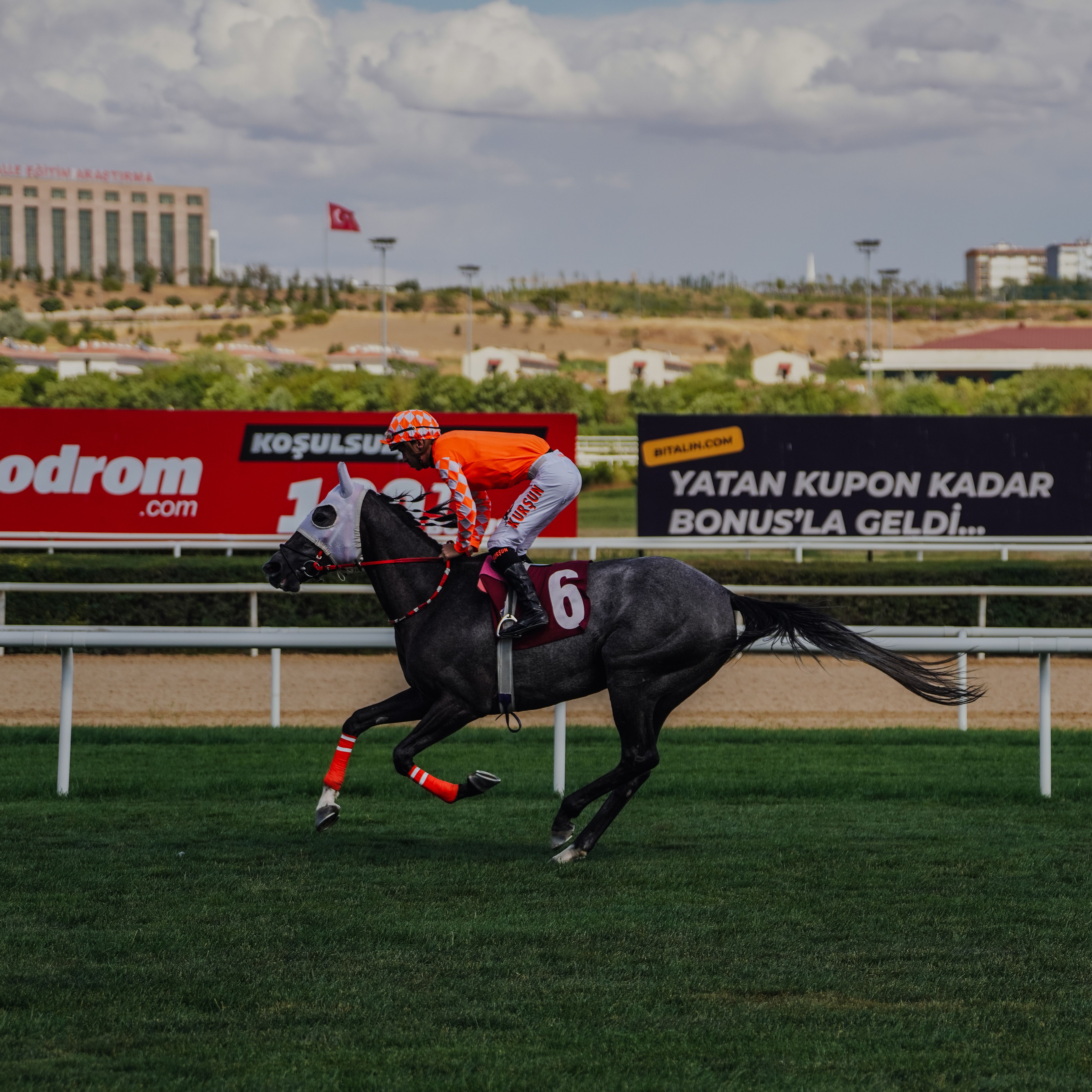 Dynamic Horse Racing Action with Jockey at Speed · Free Stock Photo