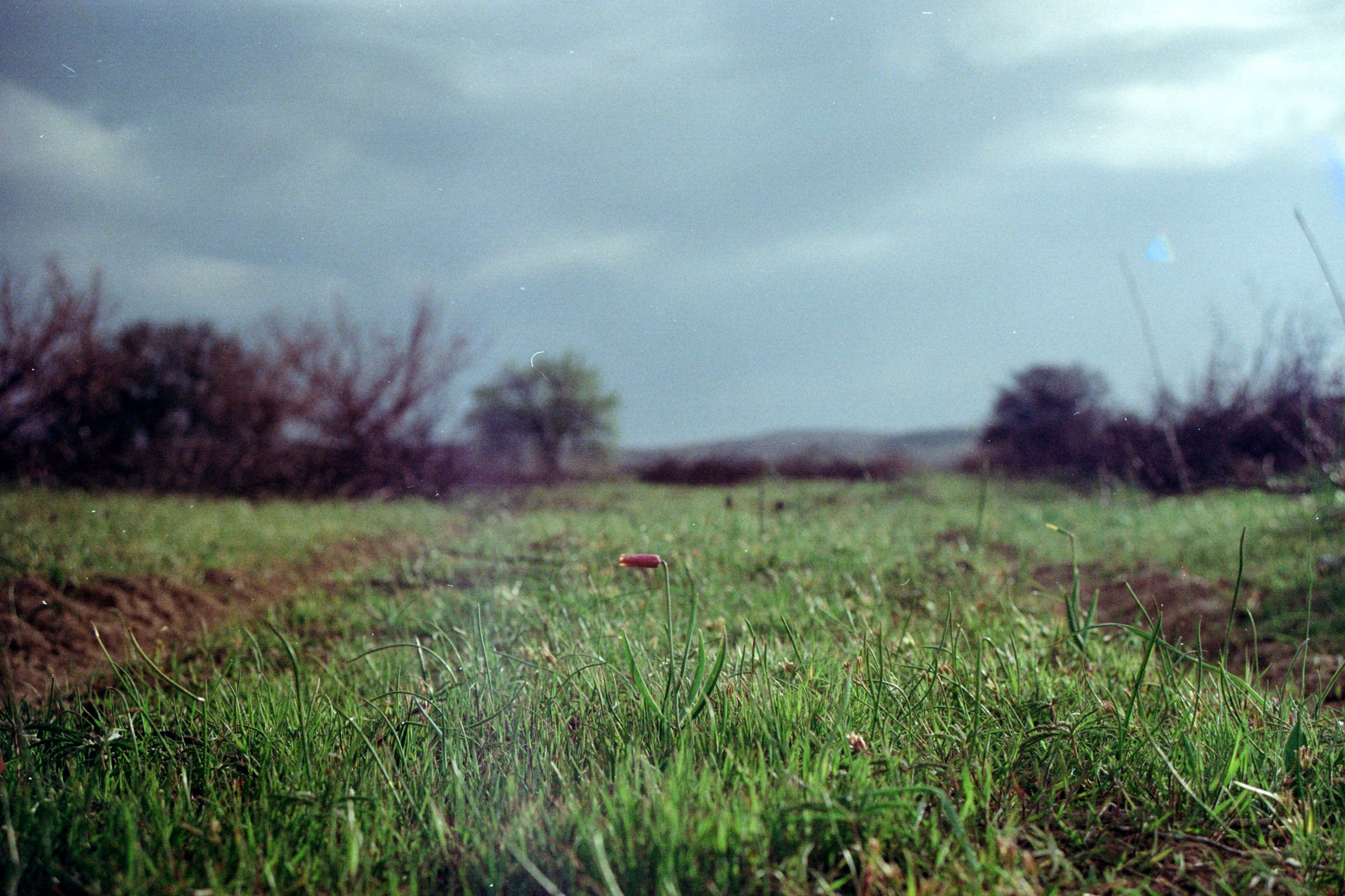 Vintage Analog Landscape in Hekimhan, Türkiye · Free Stock Photo