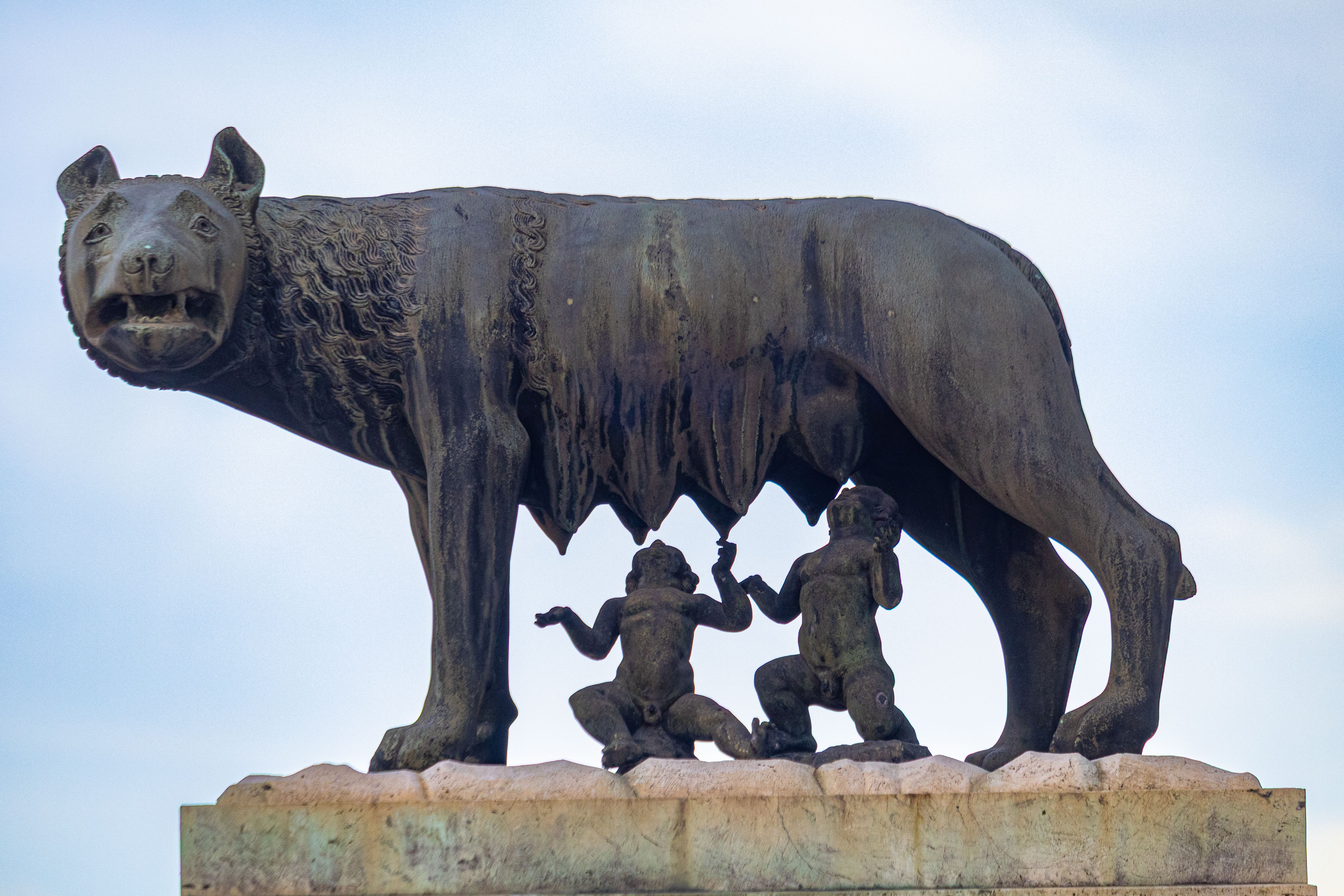 Estatua Clásica De La Loba Capitolina En Roma · Foto de stock gratuita