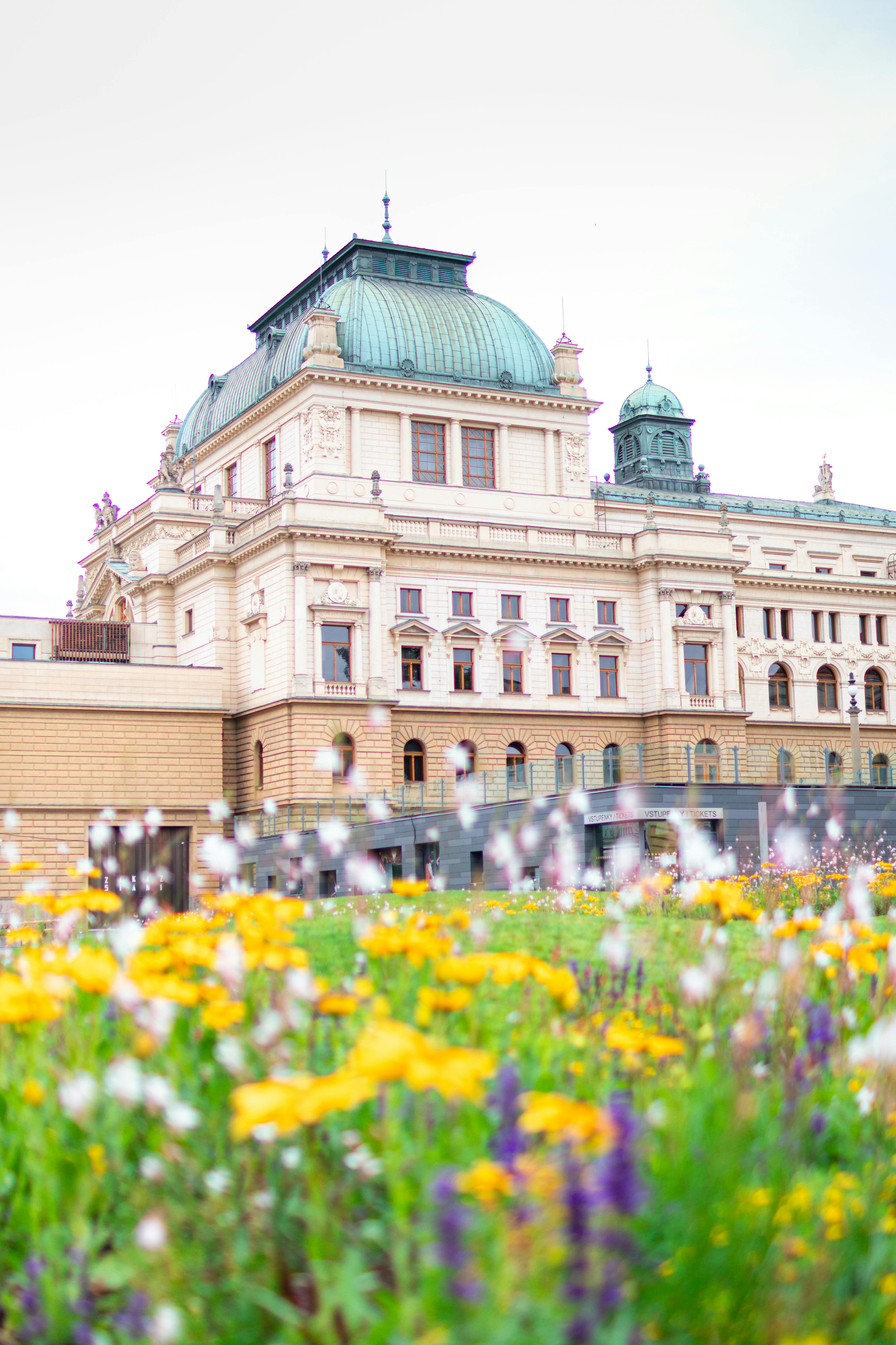 Czapski Palace Photos, Download The BEST Free Czapski Palace Stock ...