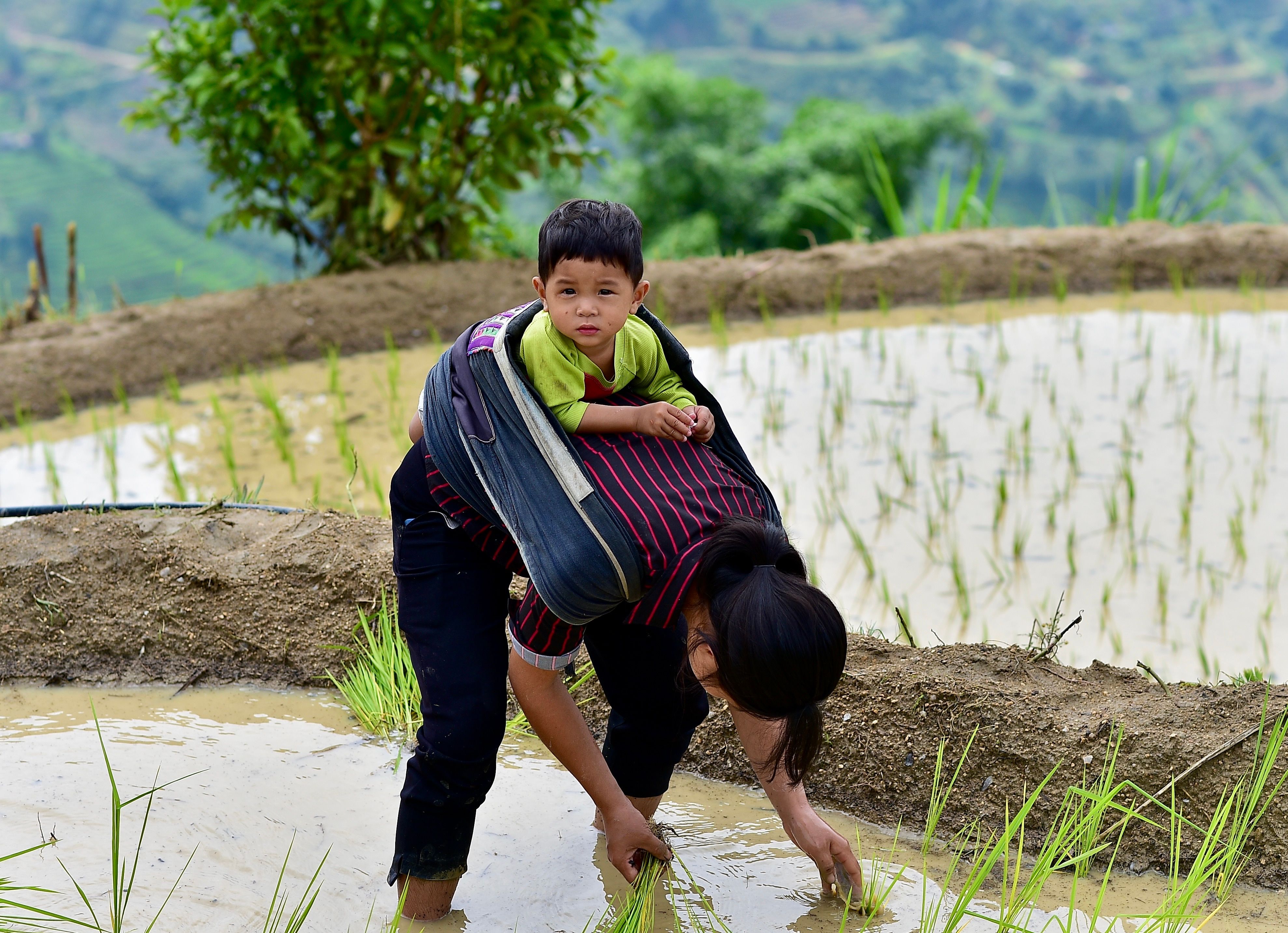 Child Labour Photos, Download The BEST Free Child Labour Stock Photos ...