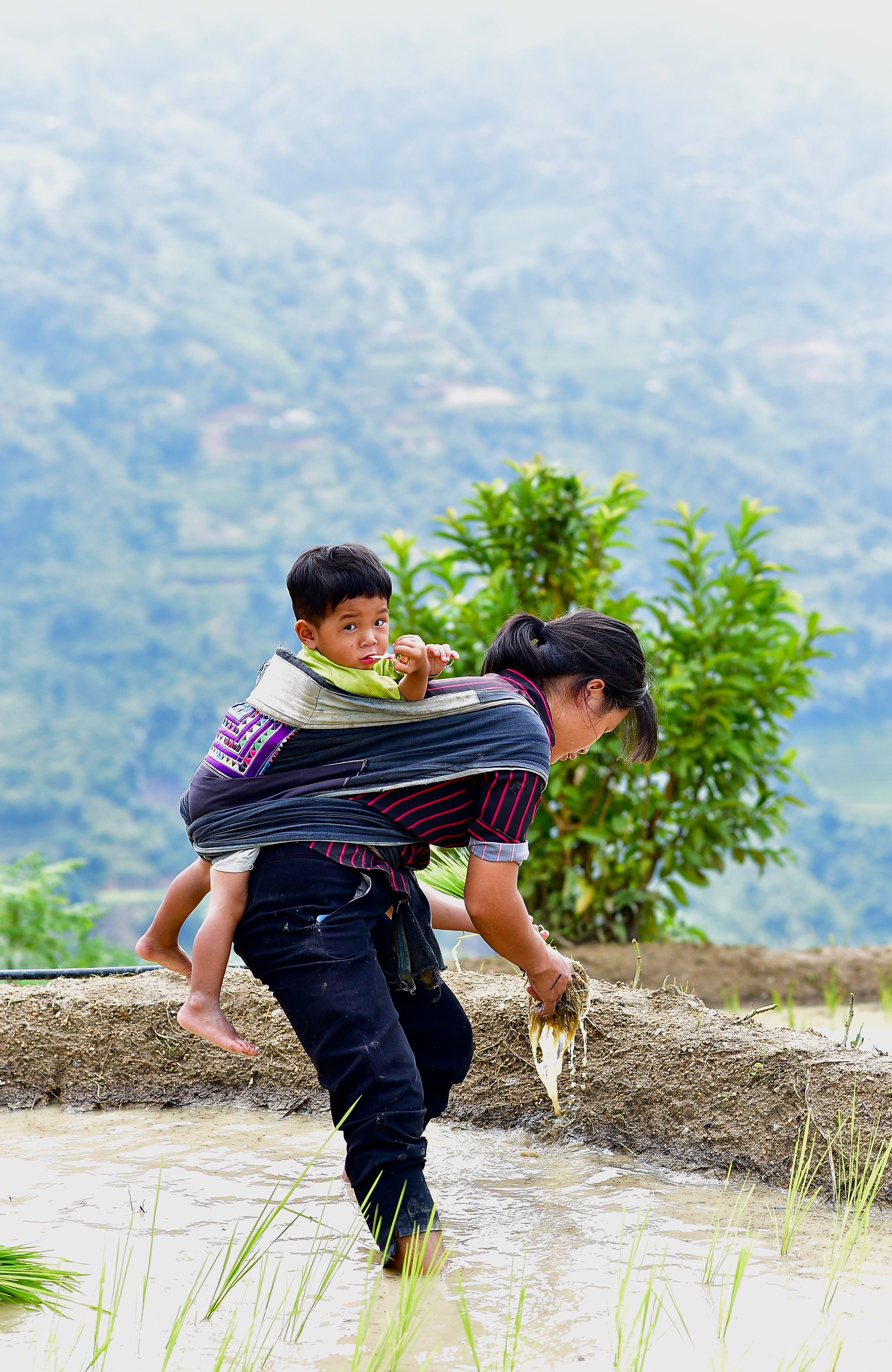 Child Labour Photos, Download The BEST Free Child Labour Stock Photos ...