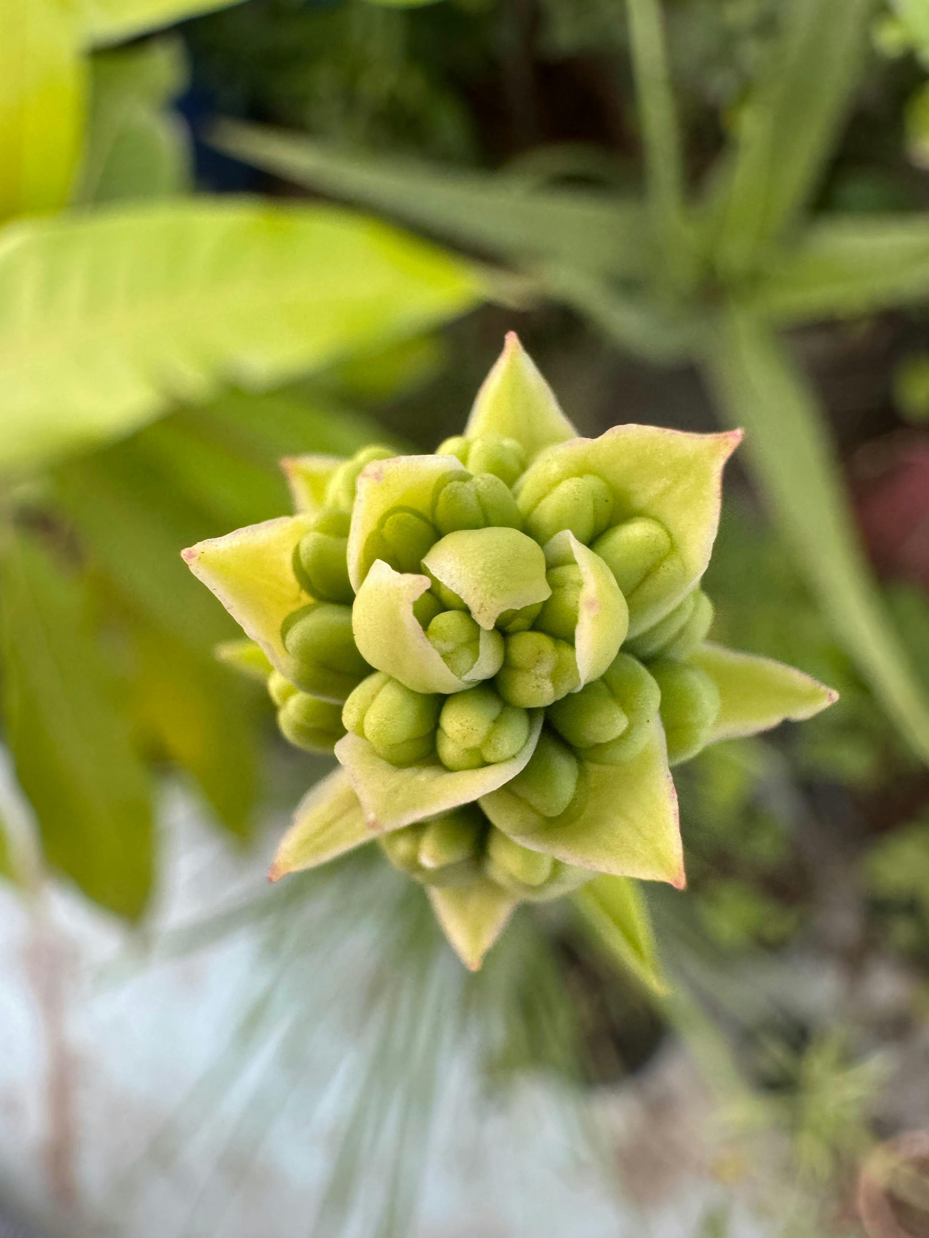 Pictures Of Hope Photos, Download The BEST Free Pictures Of Hope Stock ...